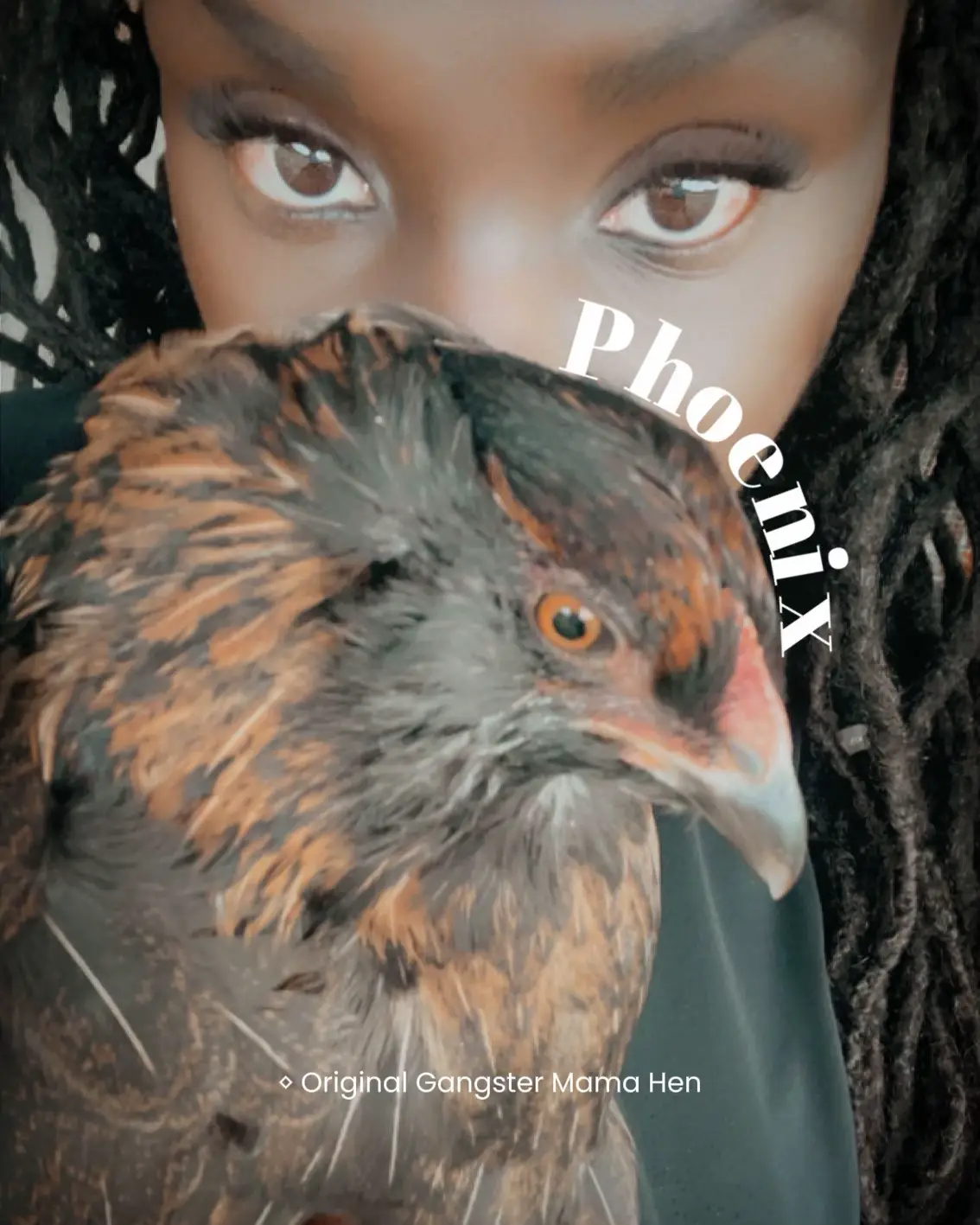 She’s The Coop Queen | Gallery posted by Ms.Walker | Lemon8