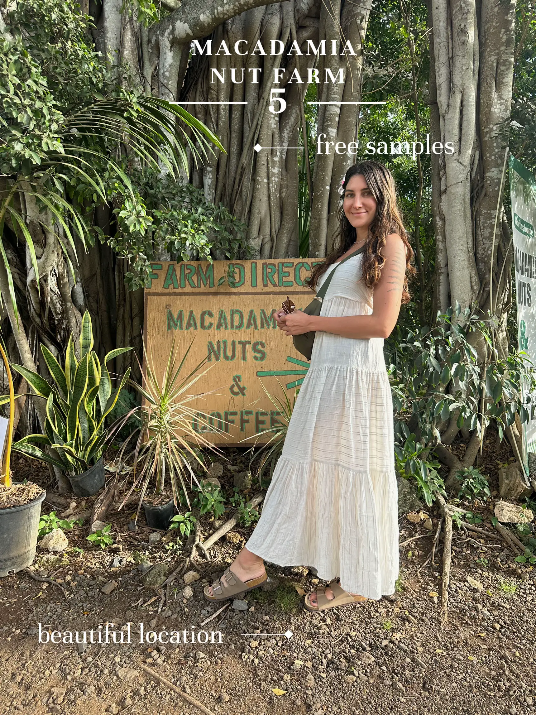 Things to do in O’ahu, HI | Gallery posted by Natalie | Lemon8