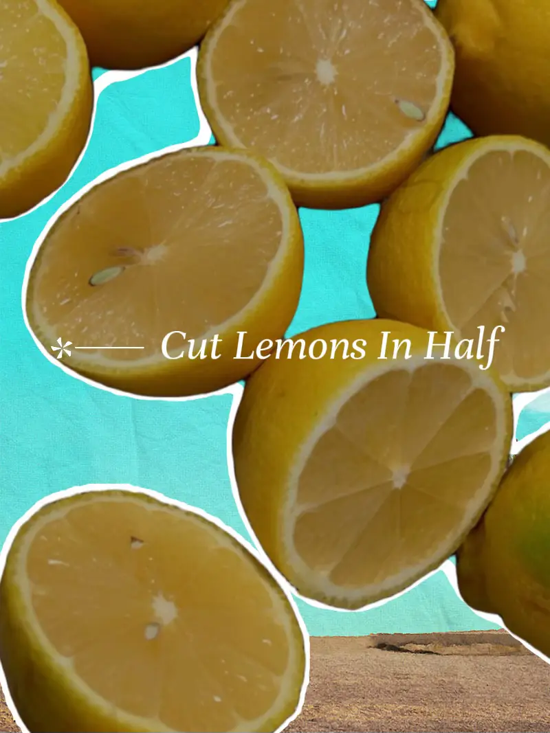 How to make lemonade | แกลเลอรีที่โพสต์โดย Naomi Vasquez | Lemon8