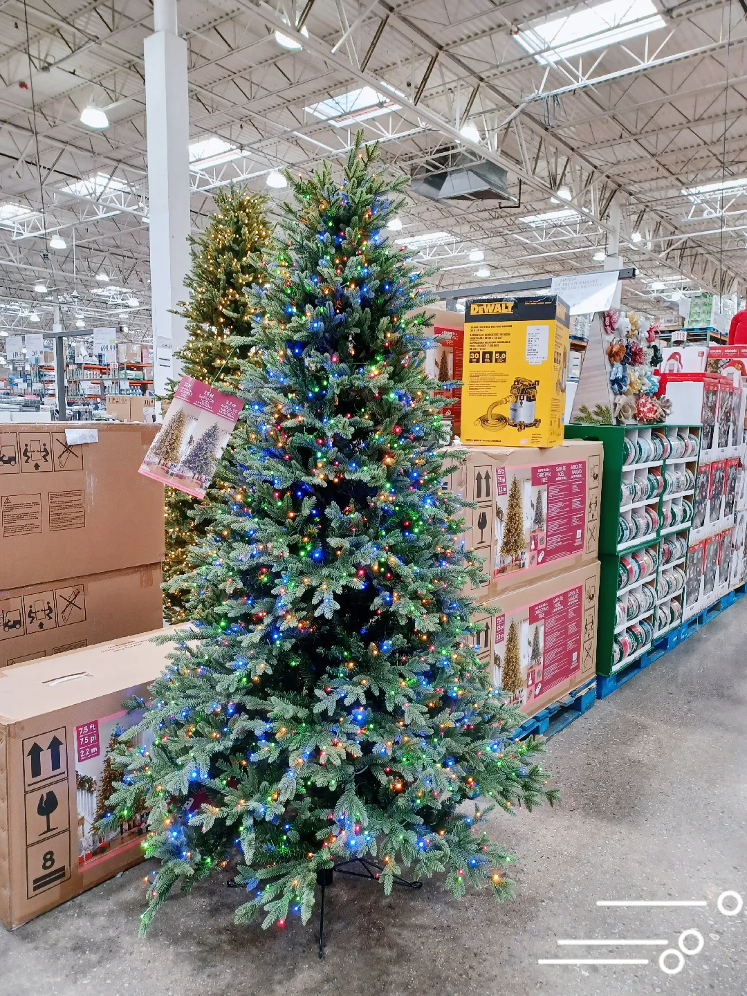 CHRISTMAS TREES 🎄 🌲 🌲 | Gallery posted by karen | Lemon8