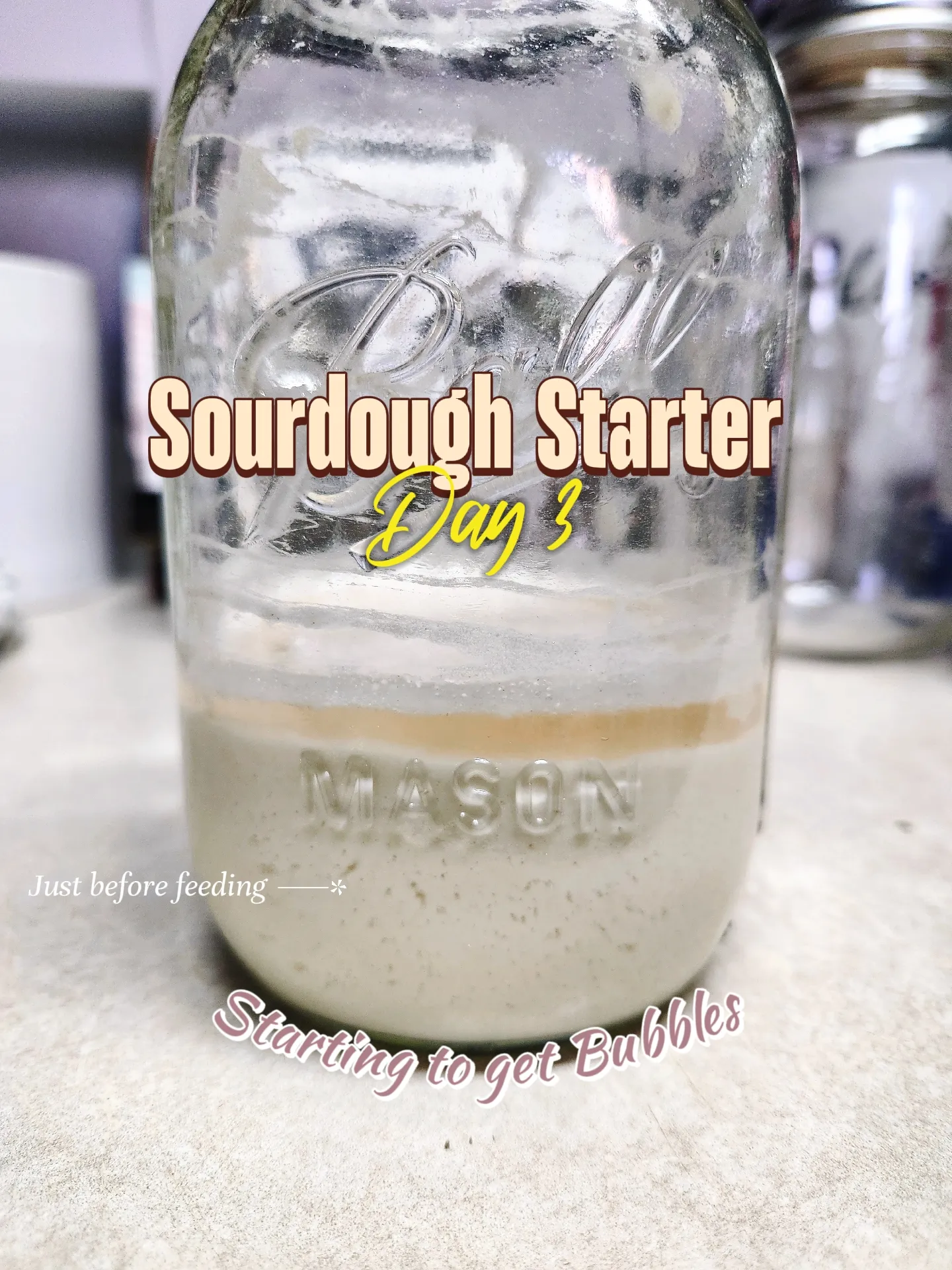Sourdough Starter Days 3&4 | Gallery posted by Francie | Lemon8