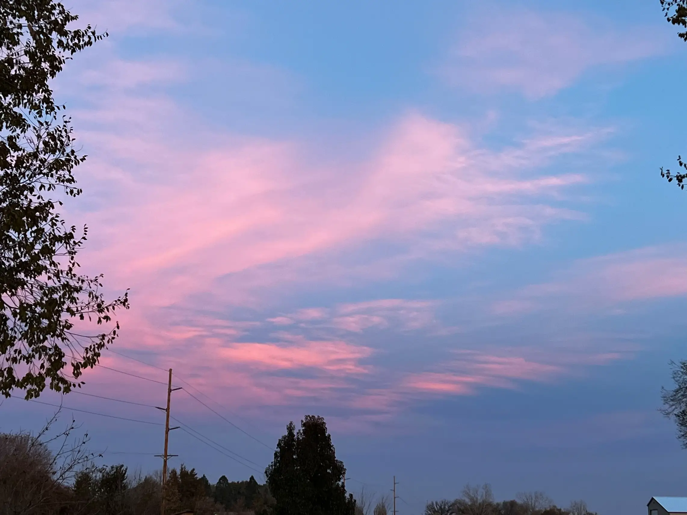 Cotton candy sky | Gallery posted by Kodi McGuire | Lemon8