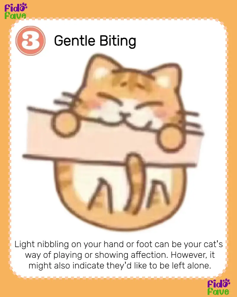 Decoding Cat’s Body Language: 25 Telltale sign | Gallery posted by Fido ...