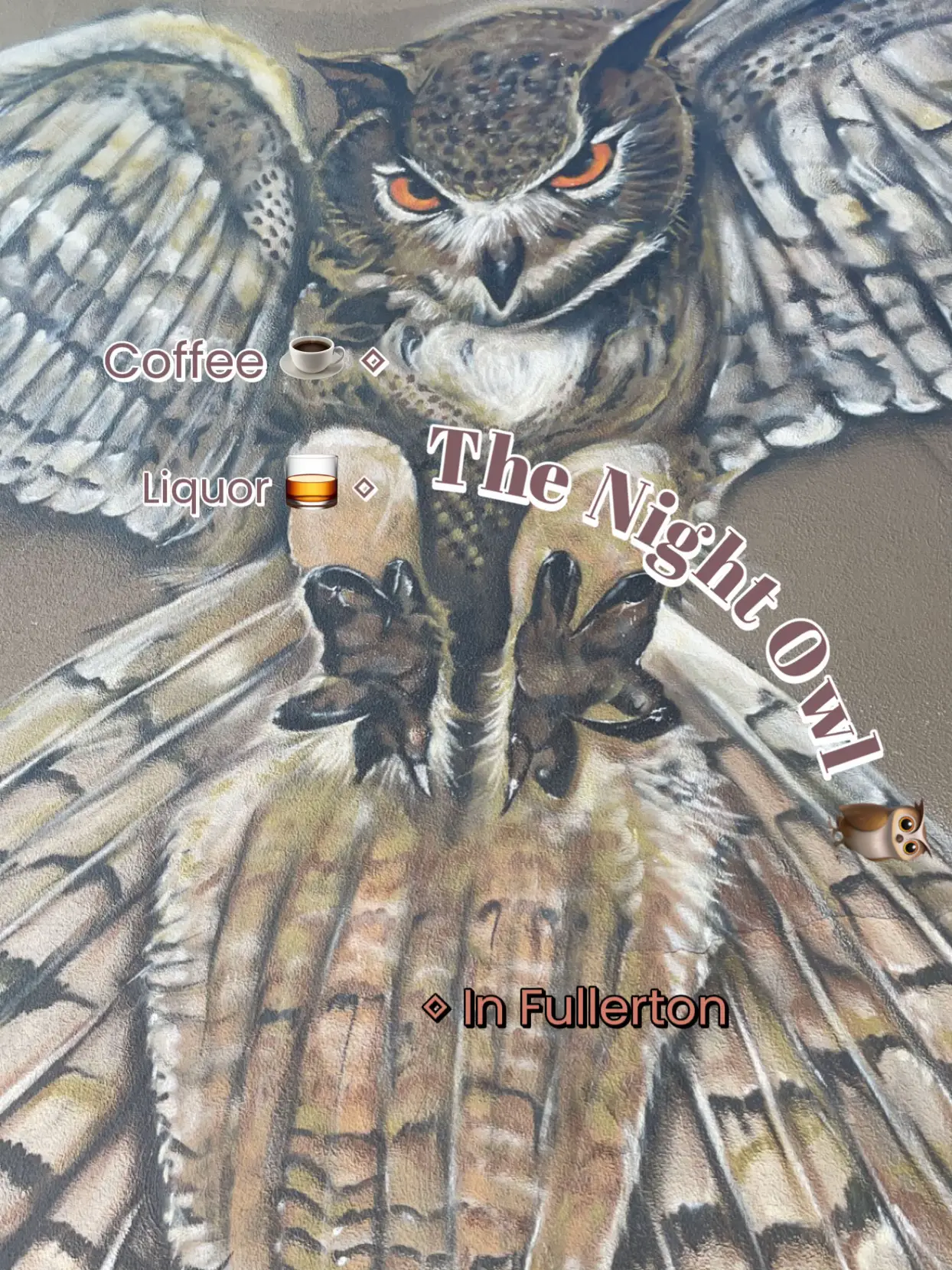 The Night Owl 🦉 | Gallery posted by Sandra Lupercio | Lemon8