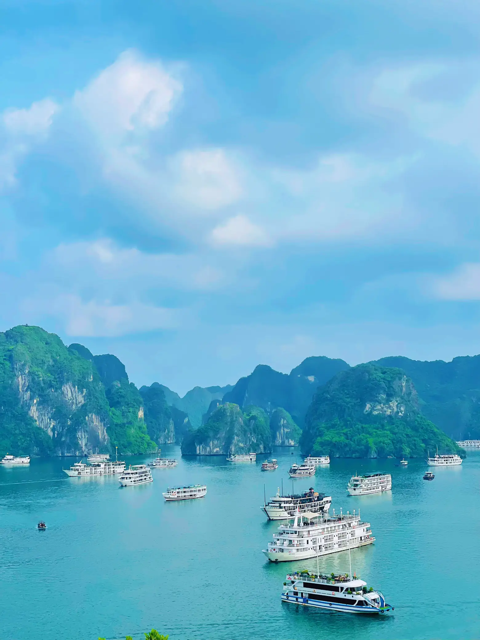 [Superb view] To the mysterious world where the dragon landed 🐉 World ...