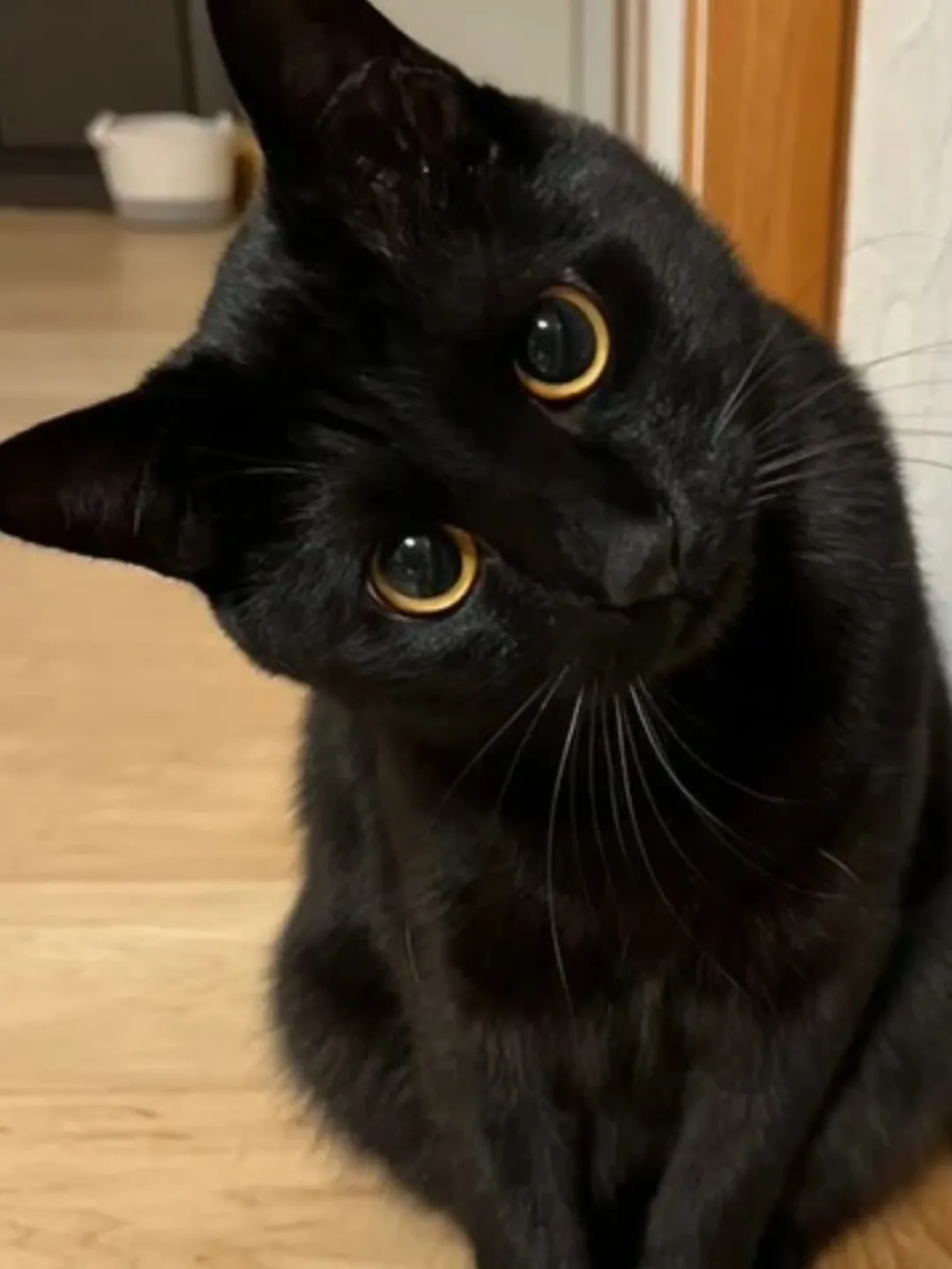 mori630がコンテンツを投稿しました。確認しましょう！ | mONkunが投稿したフォトブック | Lemon8