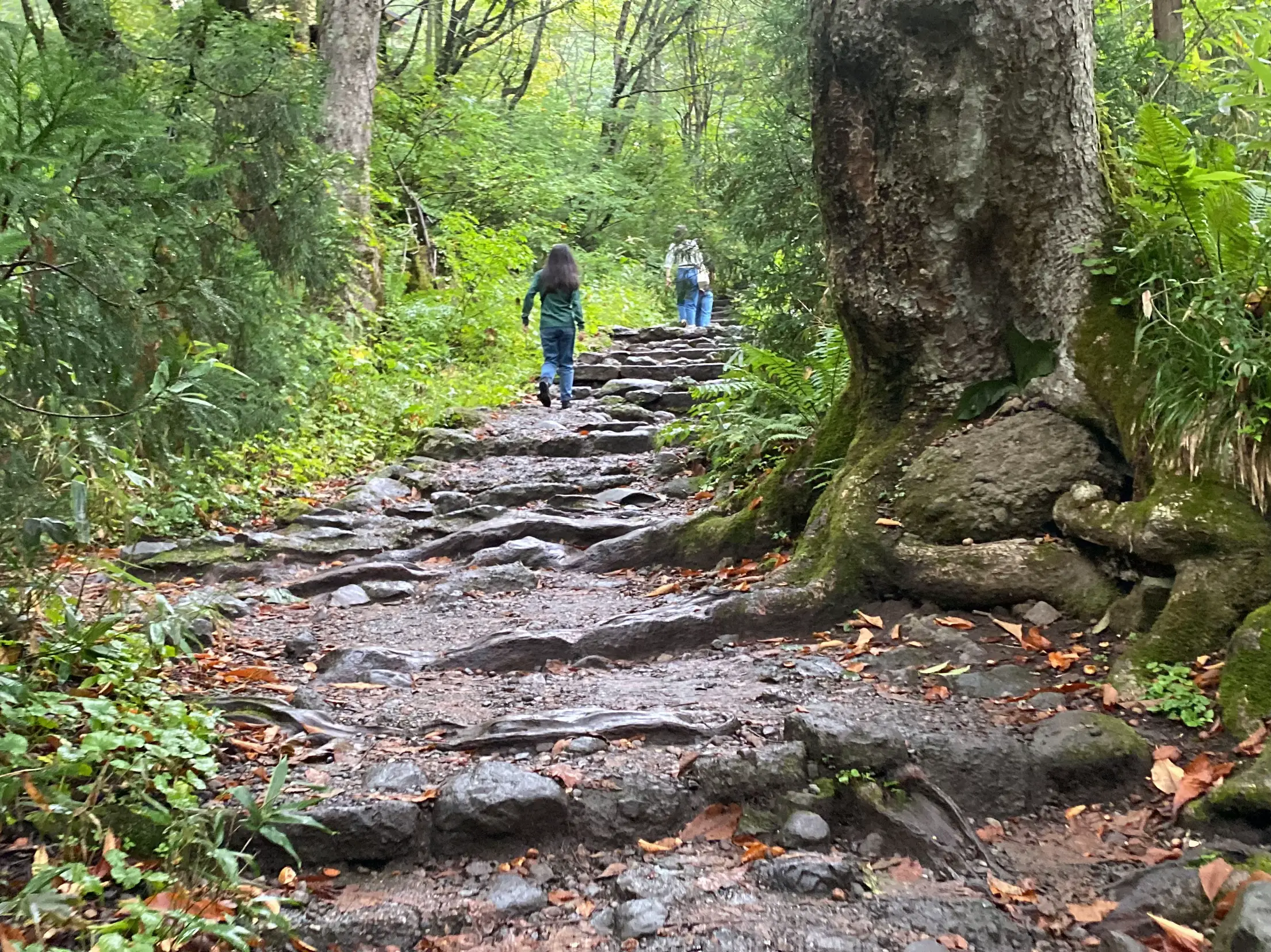 ศาลเจ้า | แกลเลอรีที่โพสต์โดย vimukthi | Lemon8