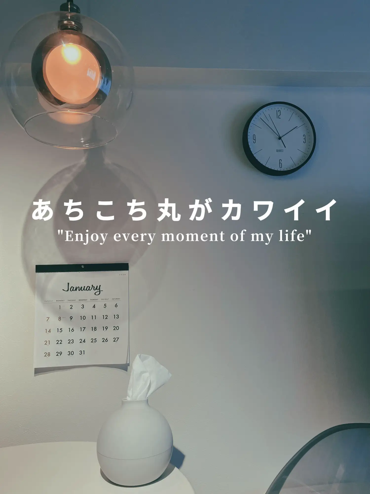 Paper pot on the bus now | Gallery posted by pippi|無機質インテリア | Lemon8