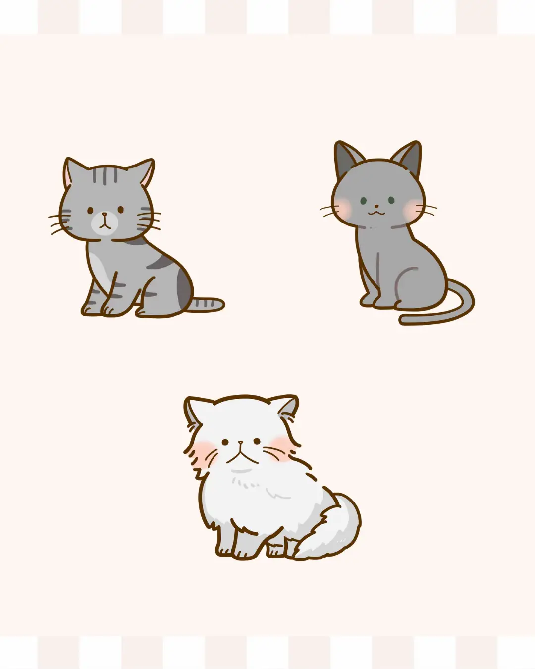2月22日は猫の日🐱 ️ フタバが投稿したフォトブック Lemon8