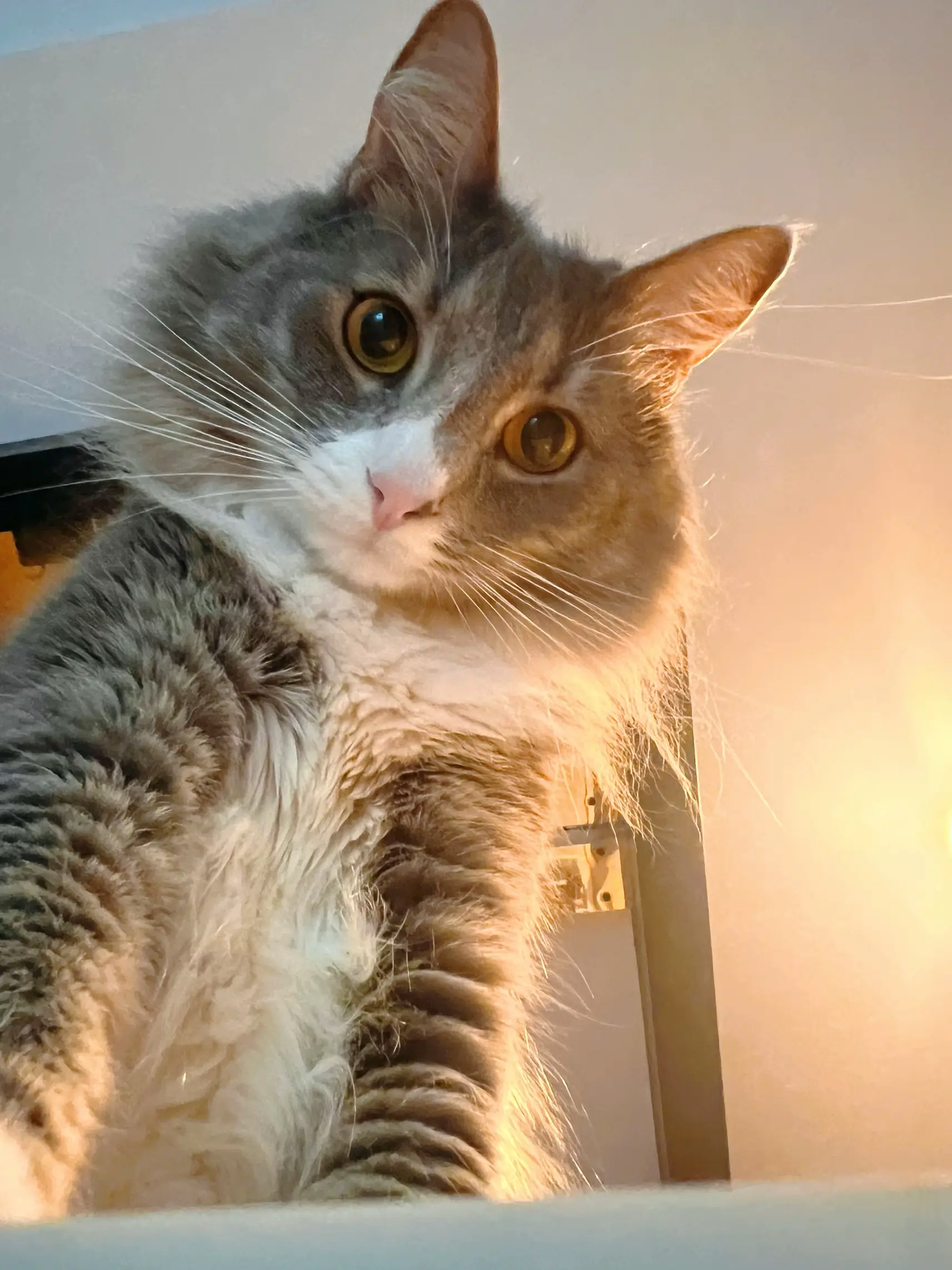 Fun easy job! | Gallery posted by Vane Cabrera | Lemon8