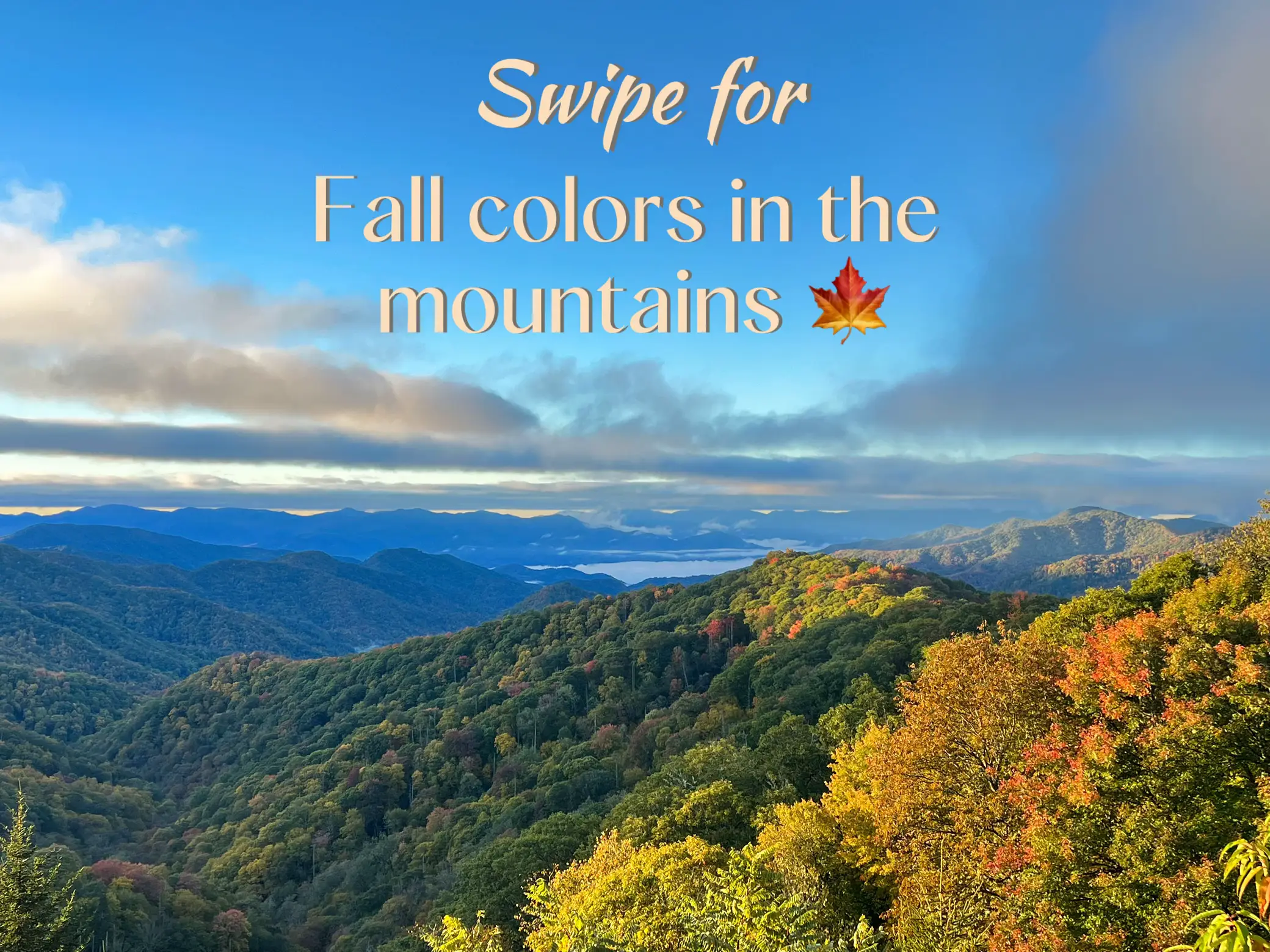 Fall Colors 🍁🍂 | แกลเลอรีที่โพสต์โดย Cleary Asbury | Lemon8