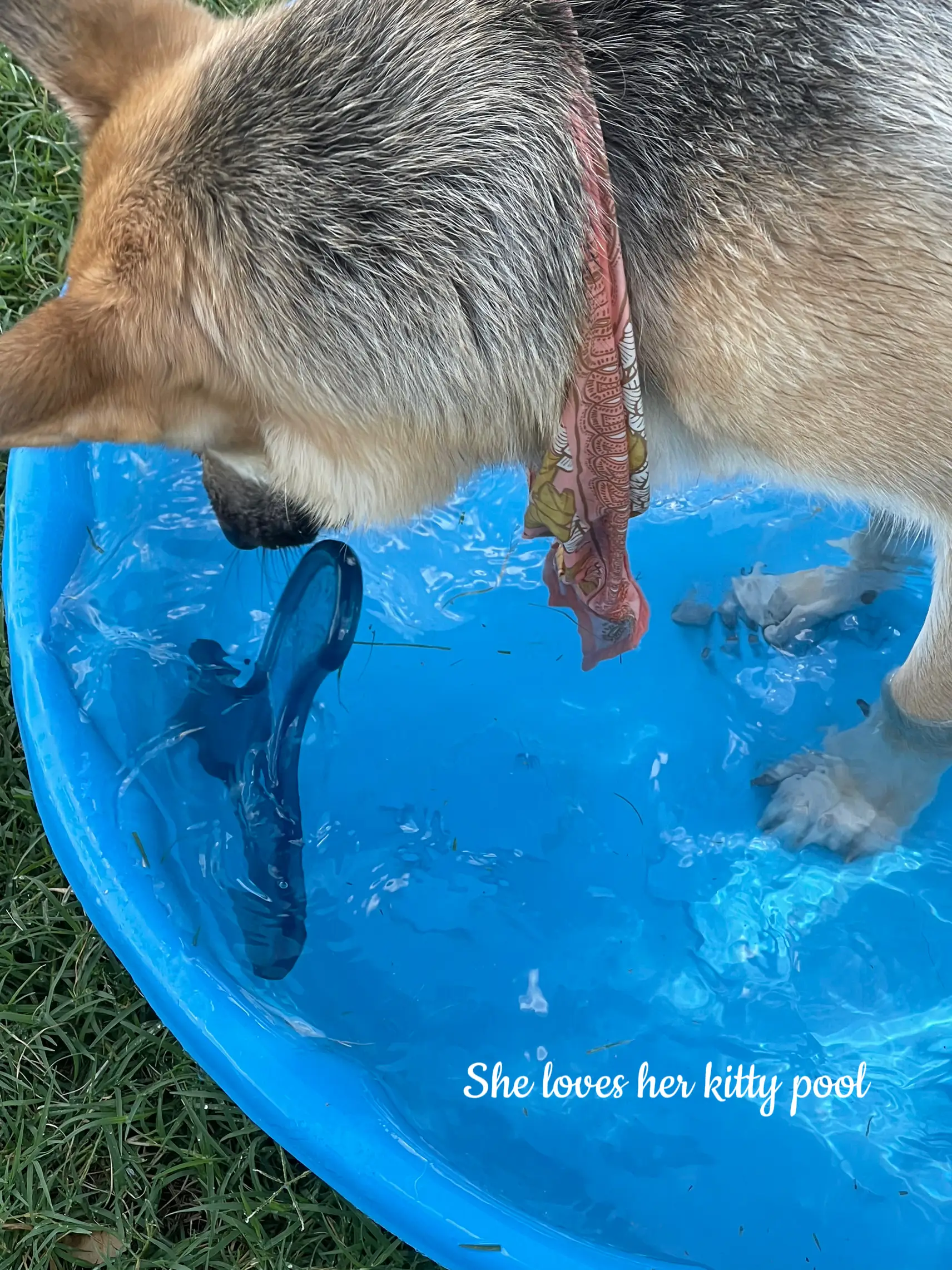 Things I did today | Gallery posted by Loralynne | Lemon8