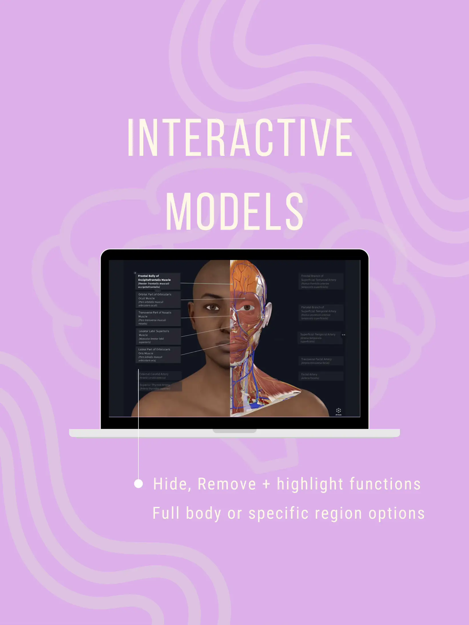 Steal my Anatomy Holy Grails: Complete Anatomy! | แกลเลอรีที่โพสต์โดย ...