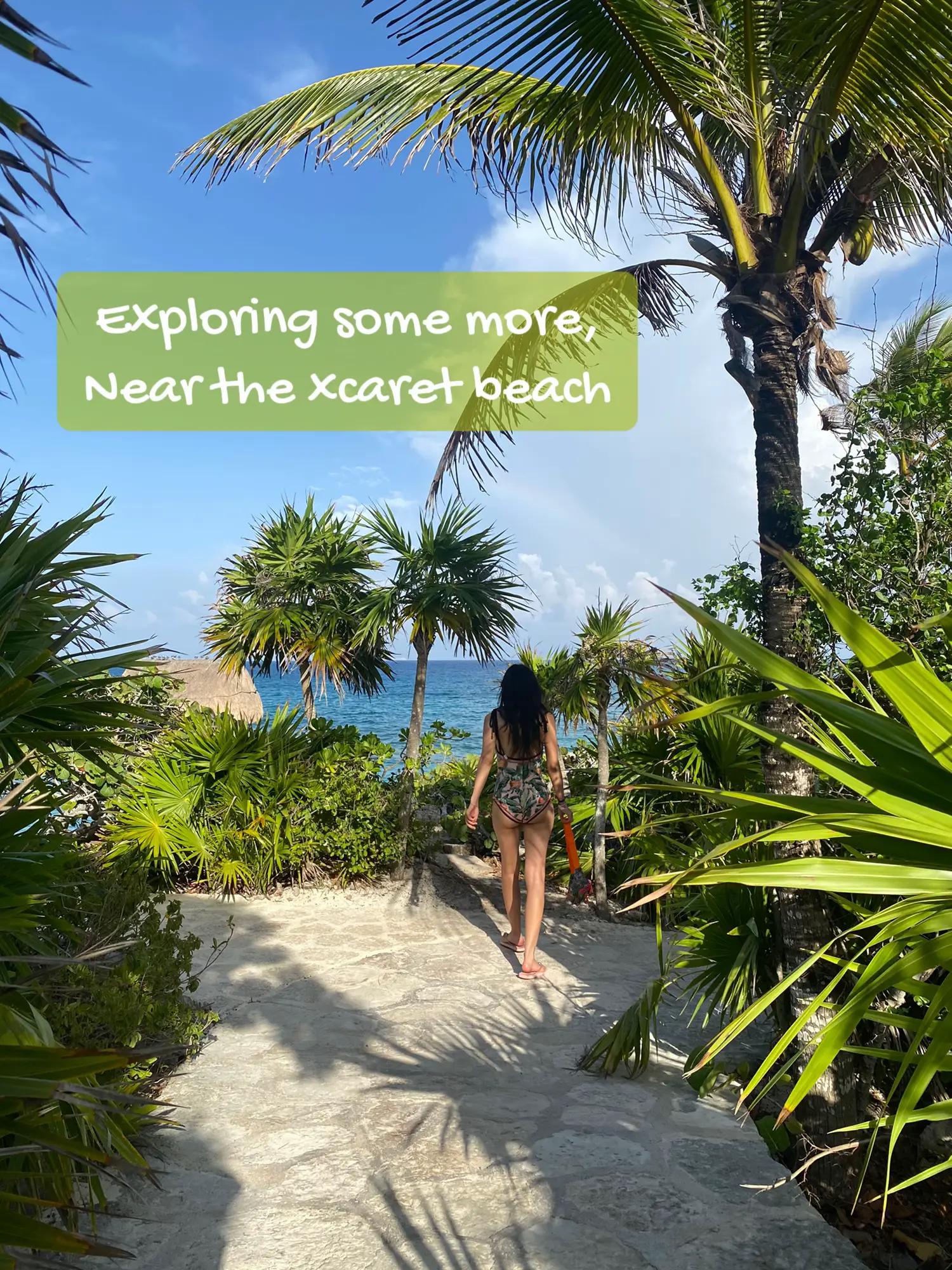 Come with me to Xcaret Cancun | แกลเลอรีที่โพสต์โดย Andrea | Lemon8