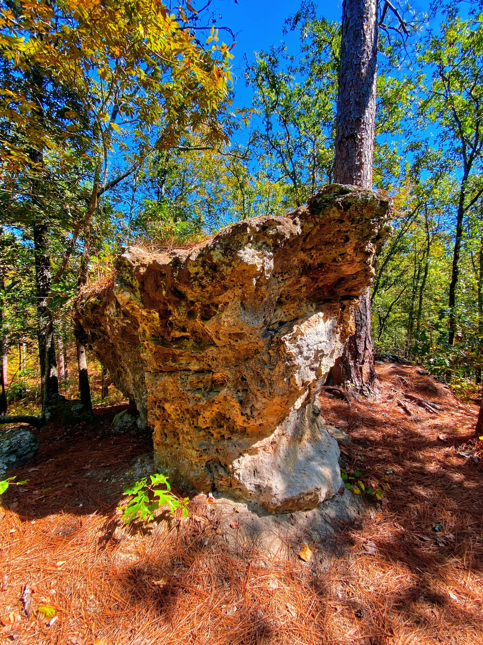Peach Tree Rock Heritage Preserve 🧡🌿 | แกลเลอรีที่โพสต์โดย ...
