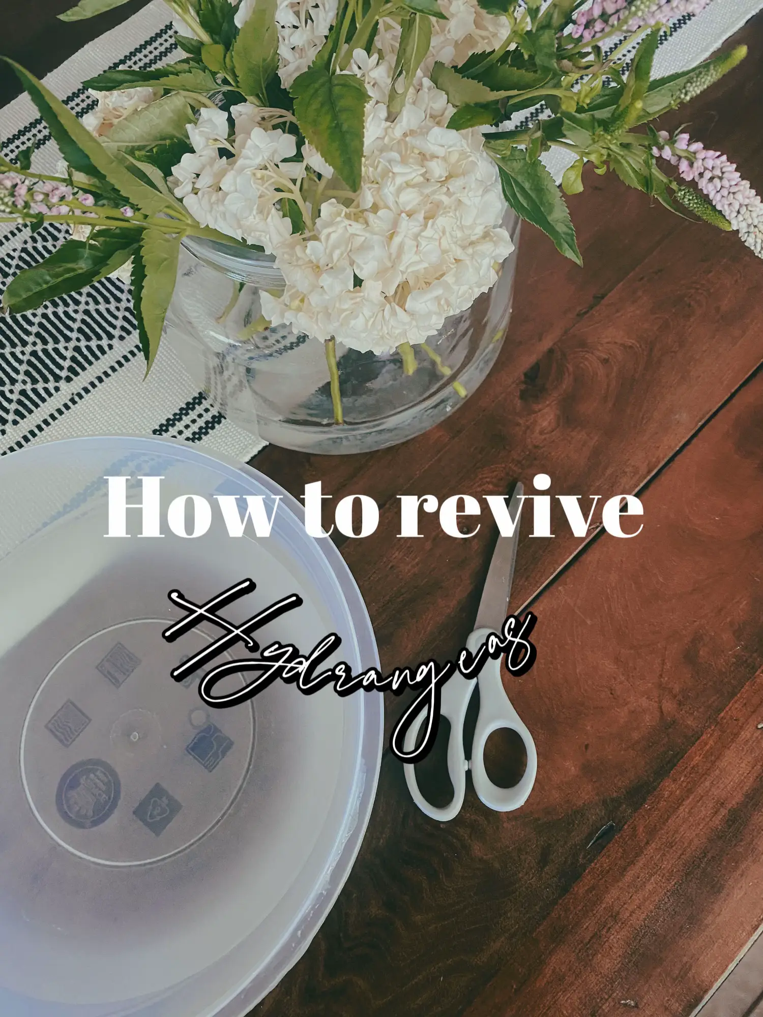 Hydrangeas 101 | Gallery posted by justgessc| GESS | Lemon8