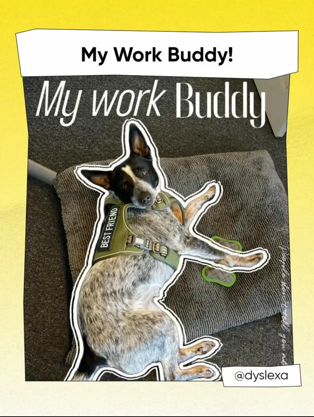 🍋What’s up Lemon8 Vol.5🍋 | แกลเลอรีที่โพสต์โดย Captain Lemon8 | Lemon8