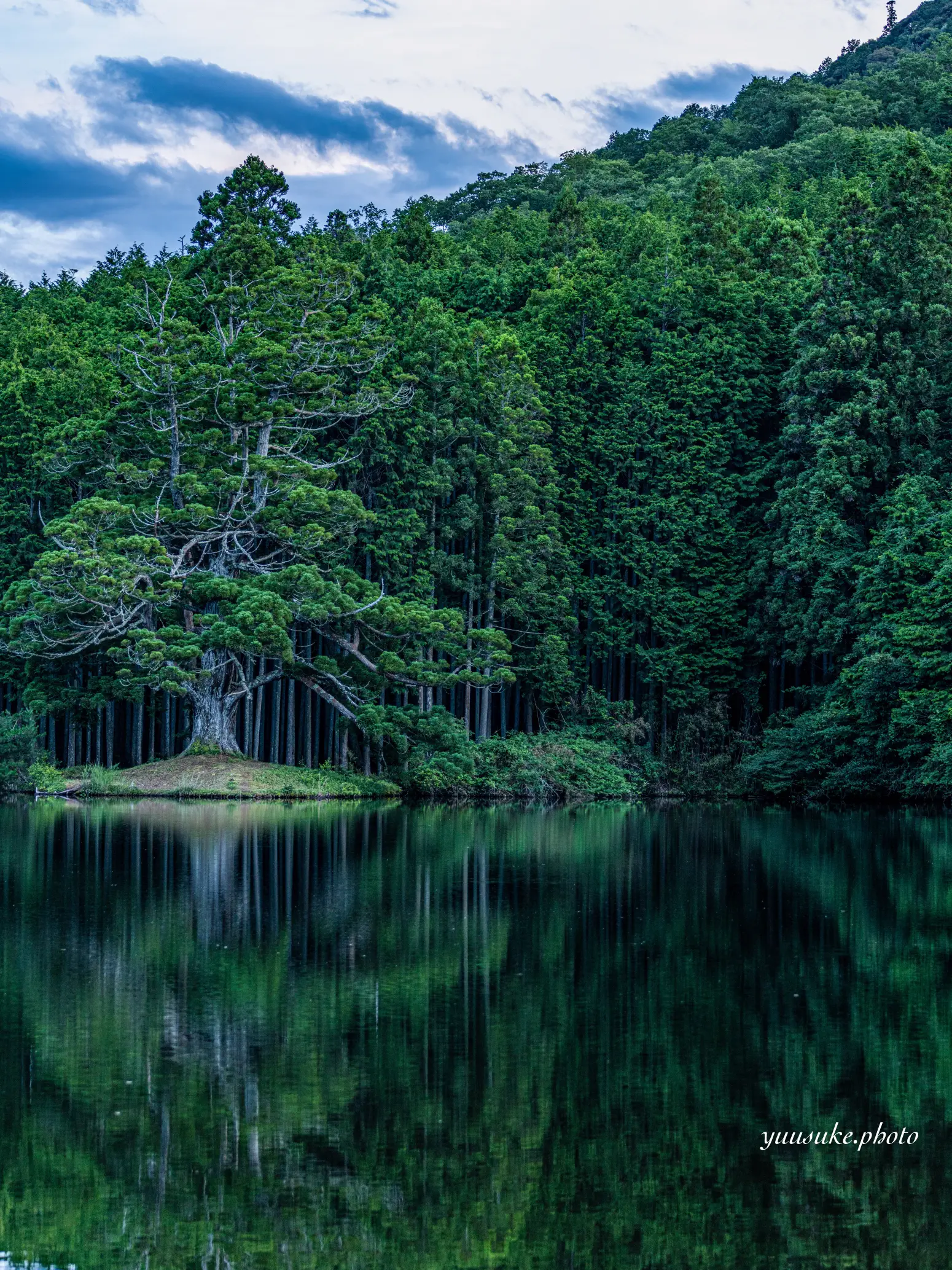 Koka City, Shiga Prefecture It is said that Saicho planted a single ...