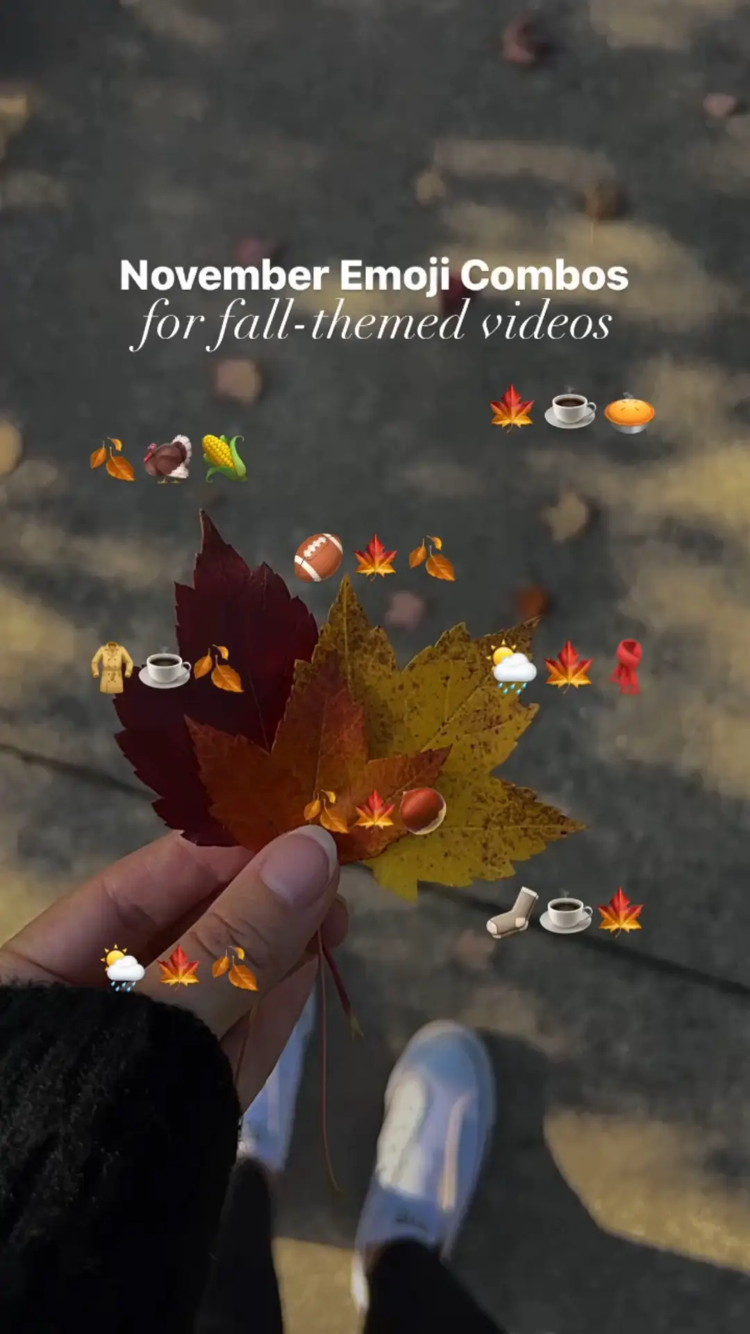 November Emoji Combos 🧦☕️🍁 | Video published by Daniela | Lemon8