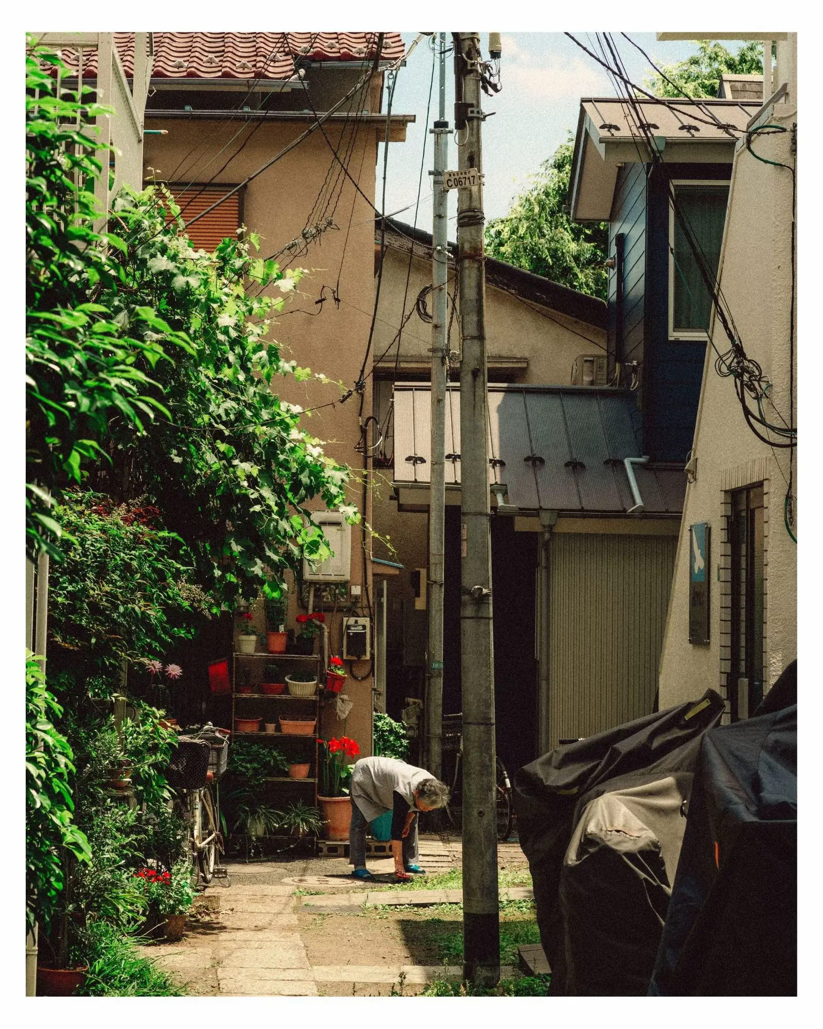 街撮りjs - Lemon8検索