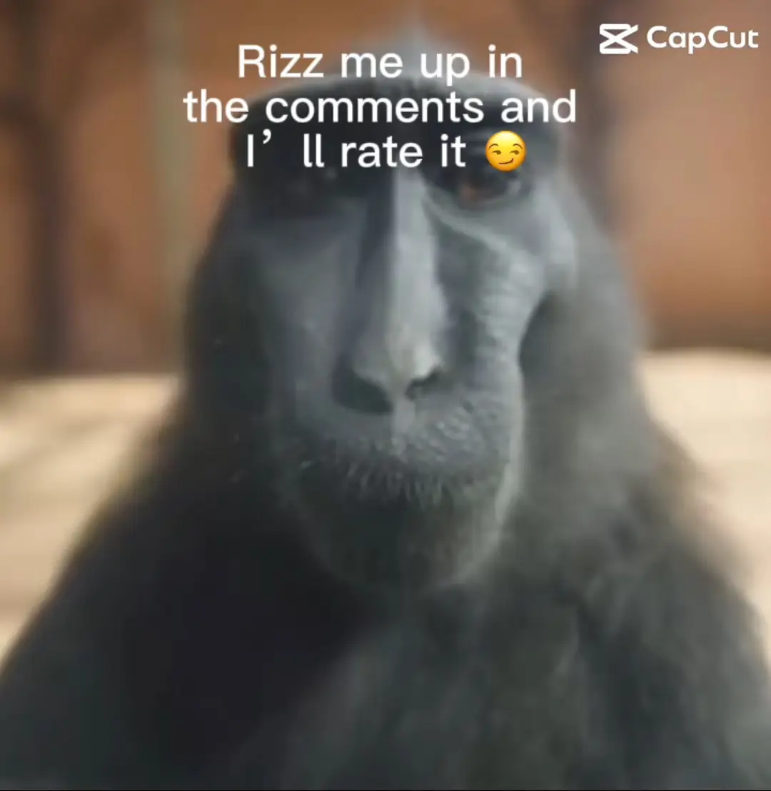 Let’s get rizzy | Video published by Monke memes | Lemon8