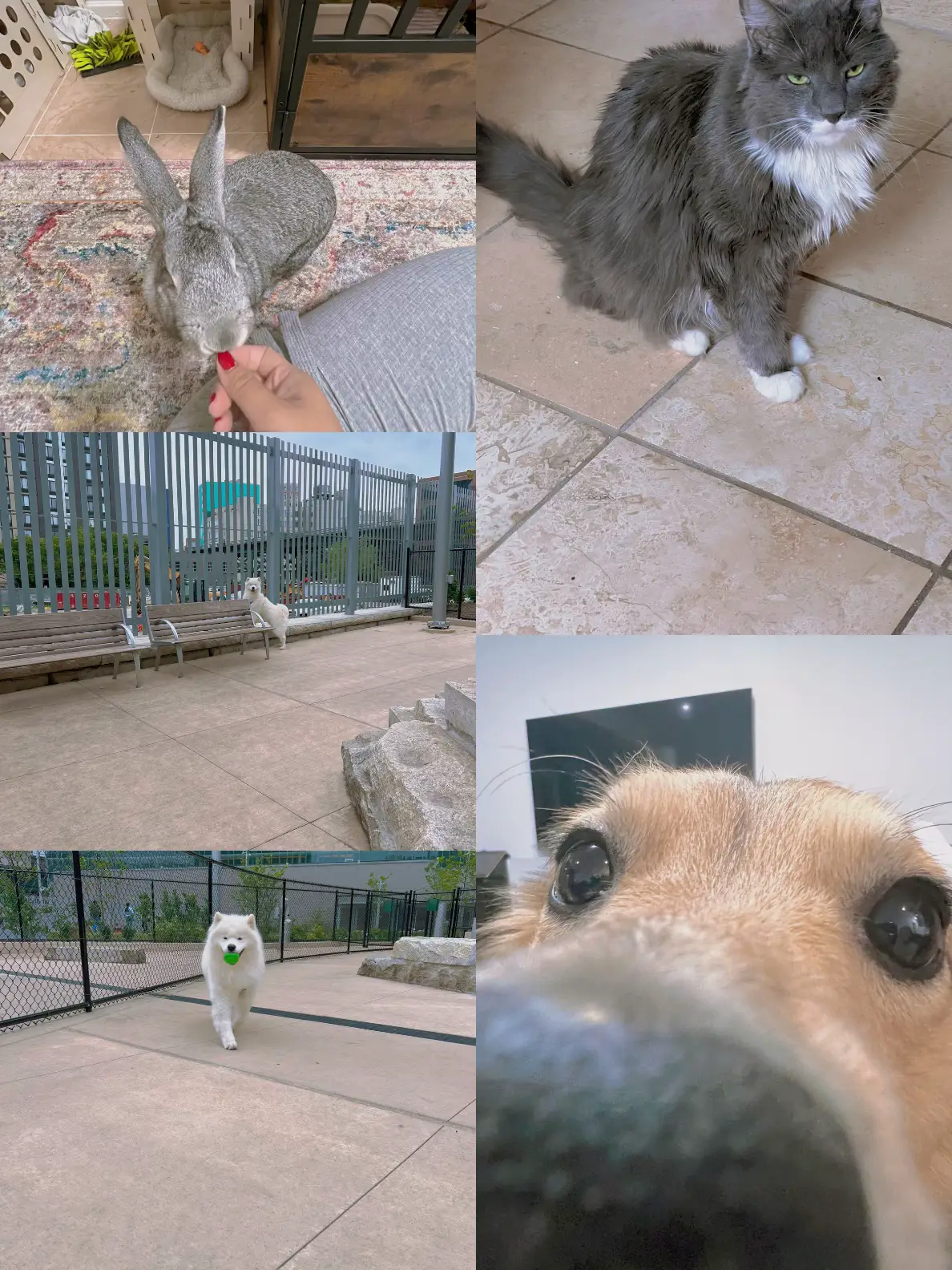 Fun easy job! | Gallery posted by Vane Cabrera | Lemon8