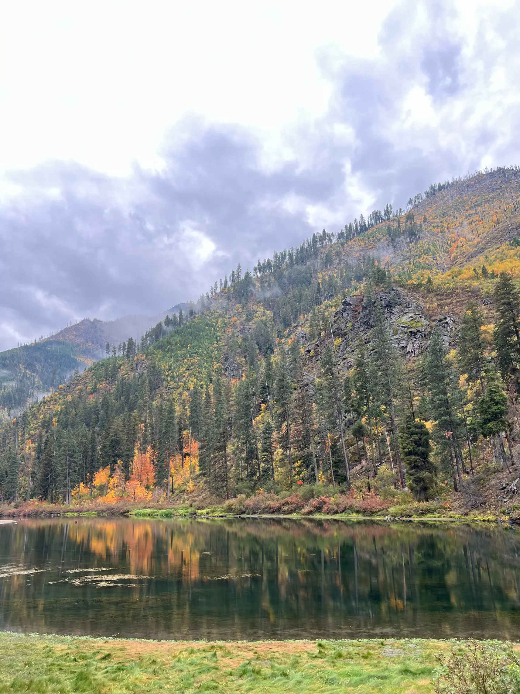 Leaf Peeping | Gallery posted by TheRefiningHome | Lemon8