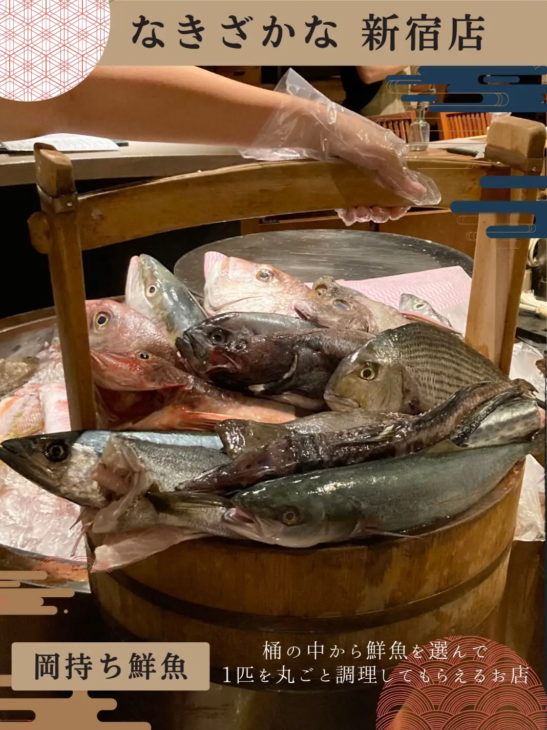 Shinjuku 】 I tried eating a whole fresh fish with Okamochi😳 | Gallery ...