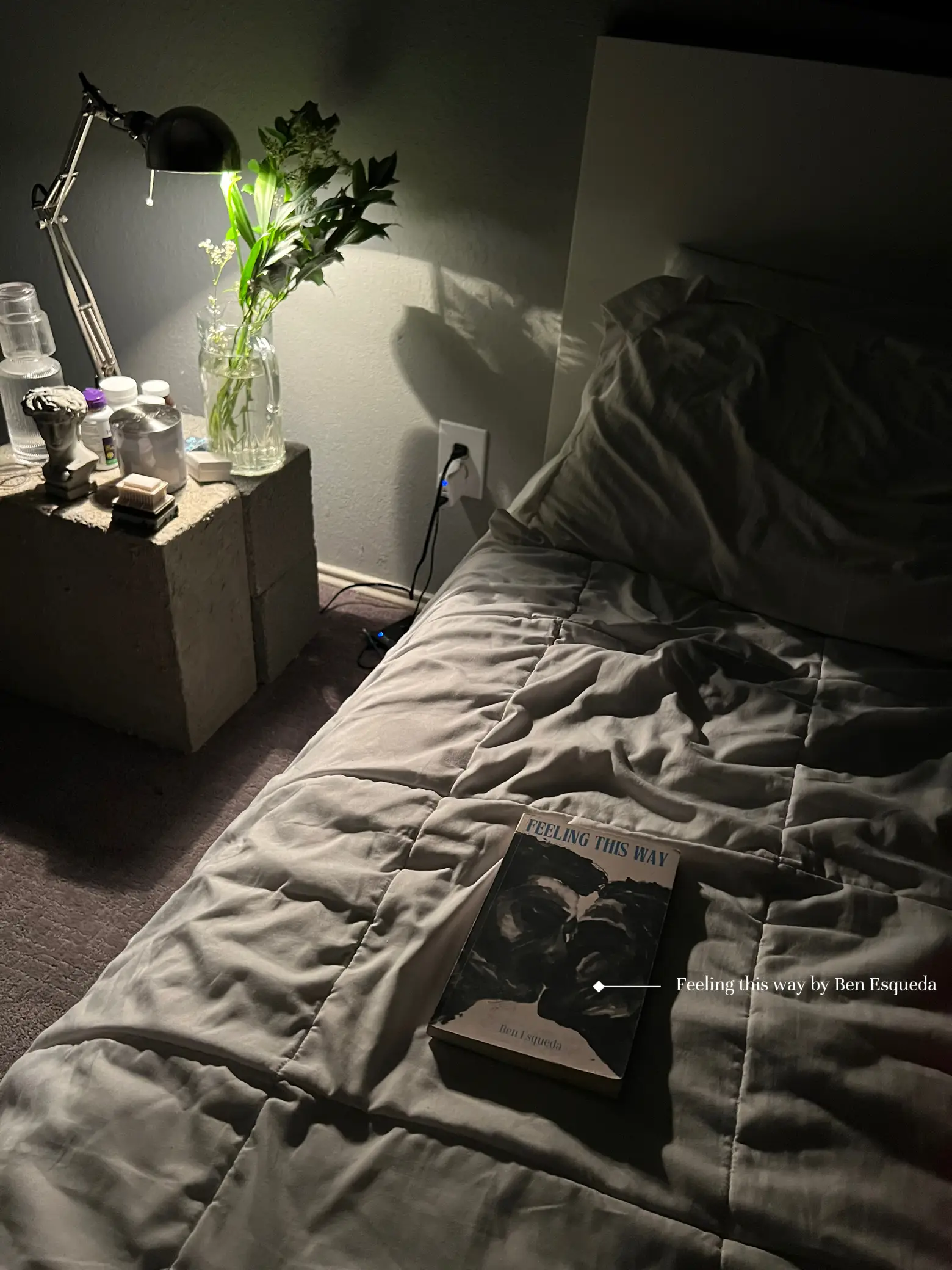 Perfect readings before bed | Gallery posted by Arlo | Lemon8