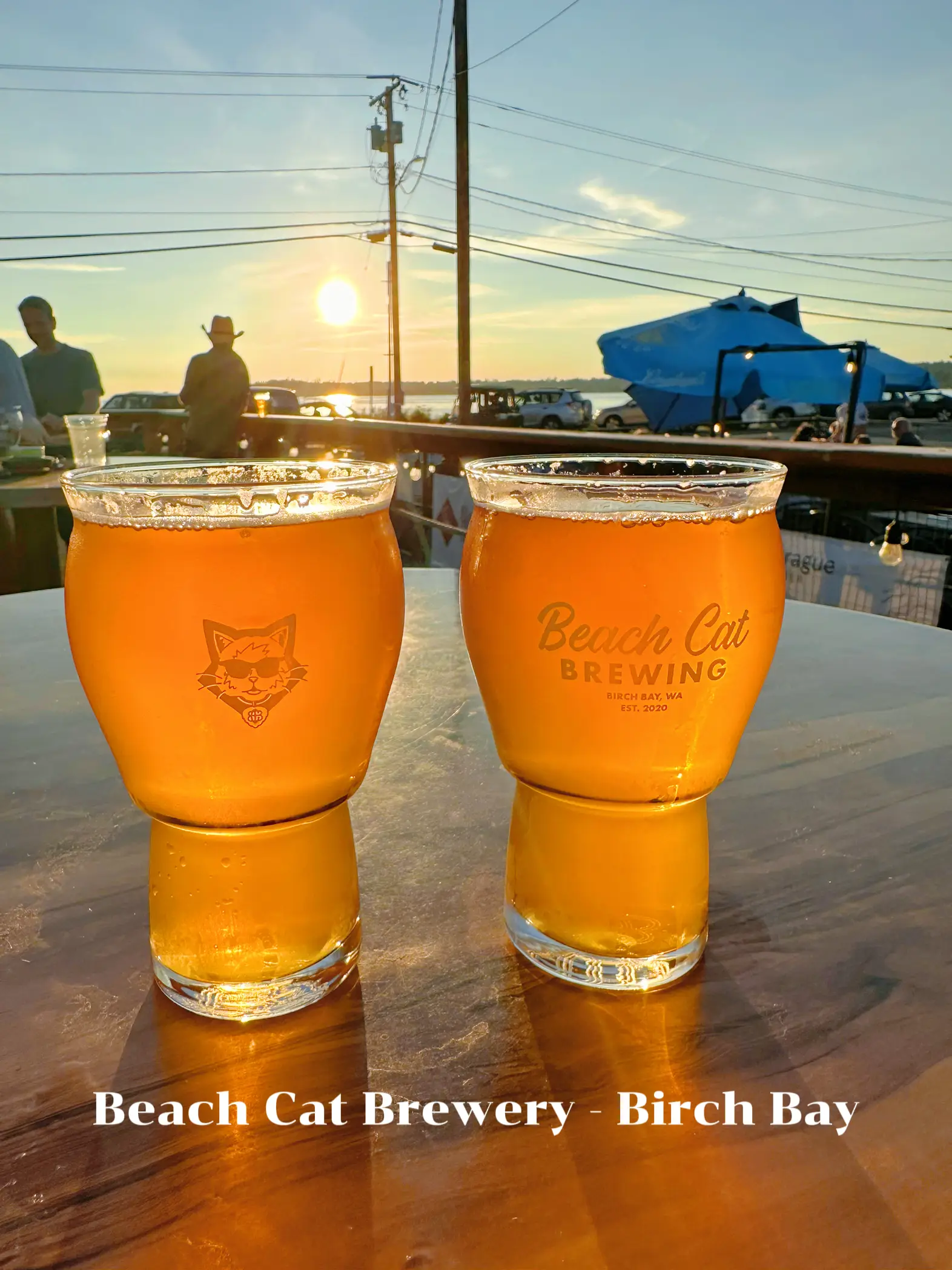 Bellingham Washington | Gallery posted by Angela Parrott | Lemon8