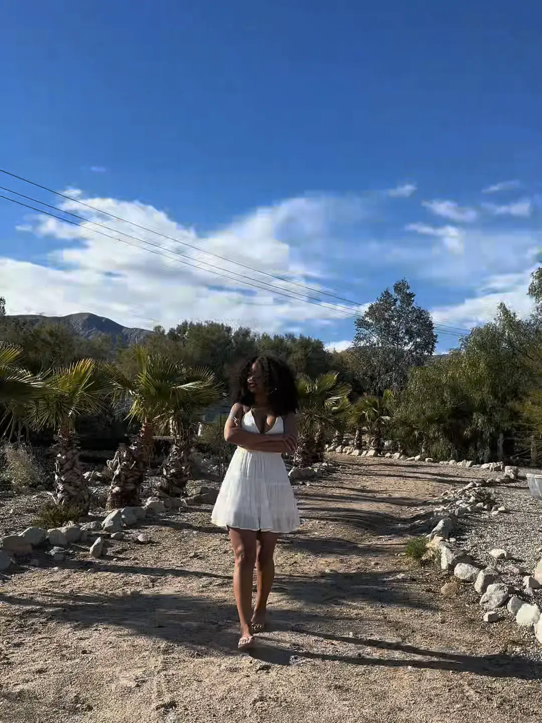 Joshua Tree | Video published by Mikeila J | Lemon8