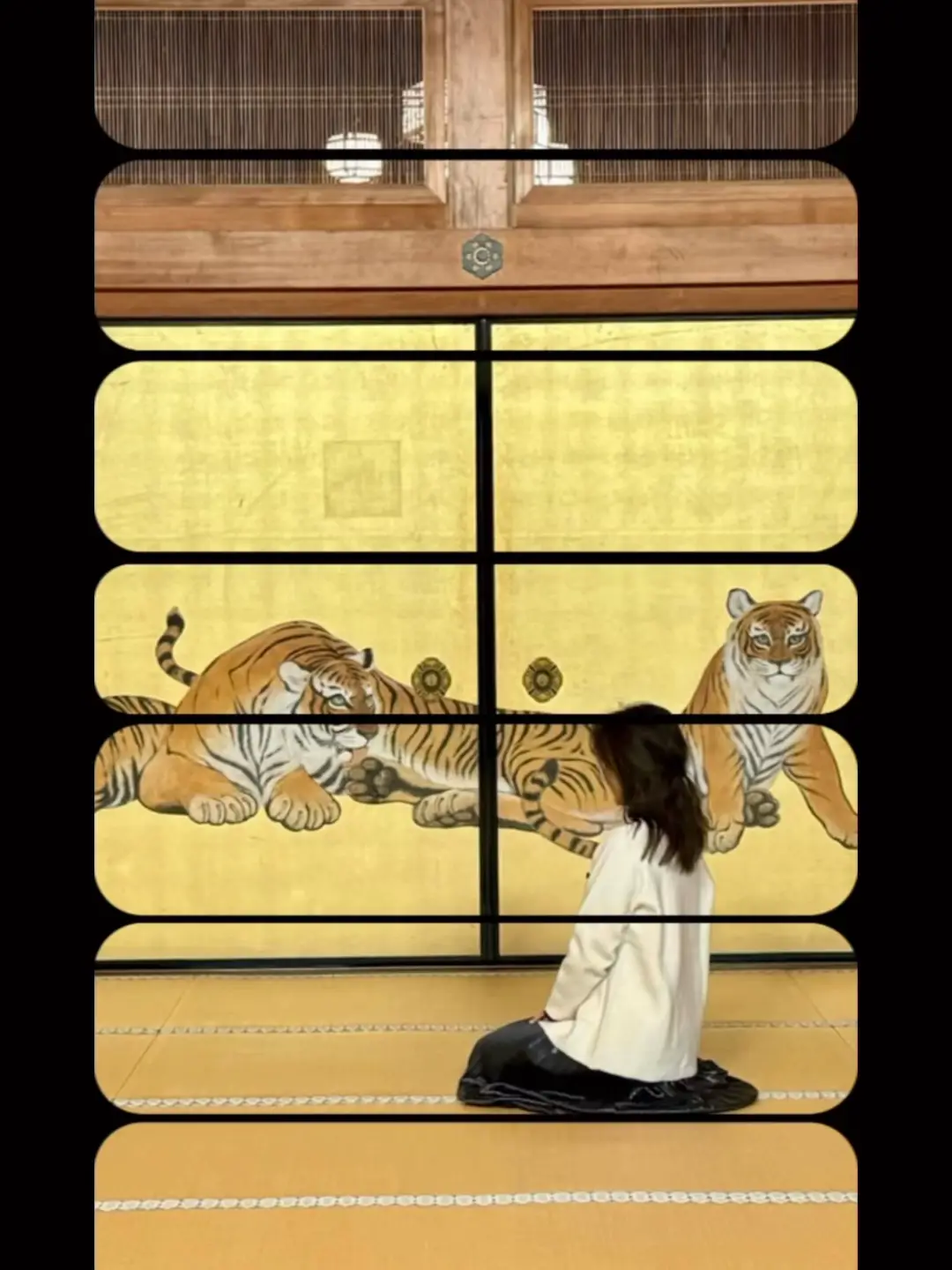 京都 くろ谷 金戒光明寺 | kyoto_kenの投稿動画 | Lemon8