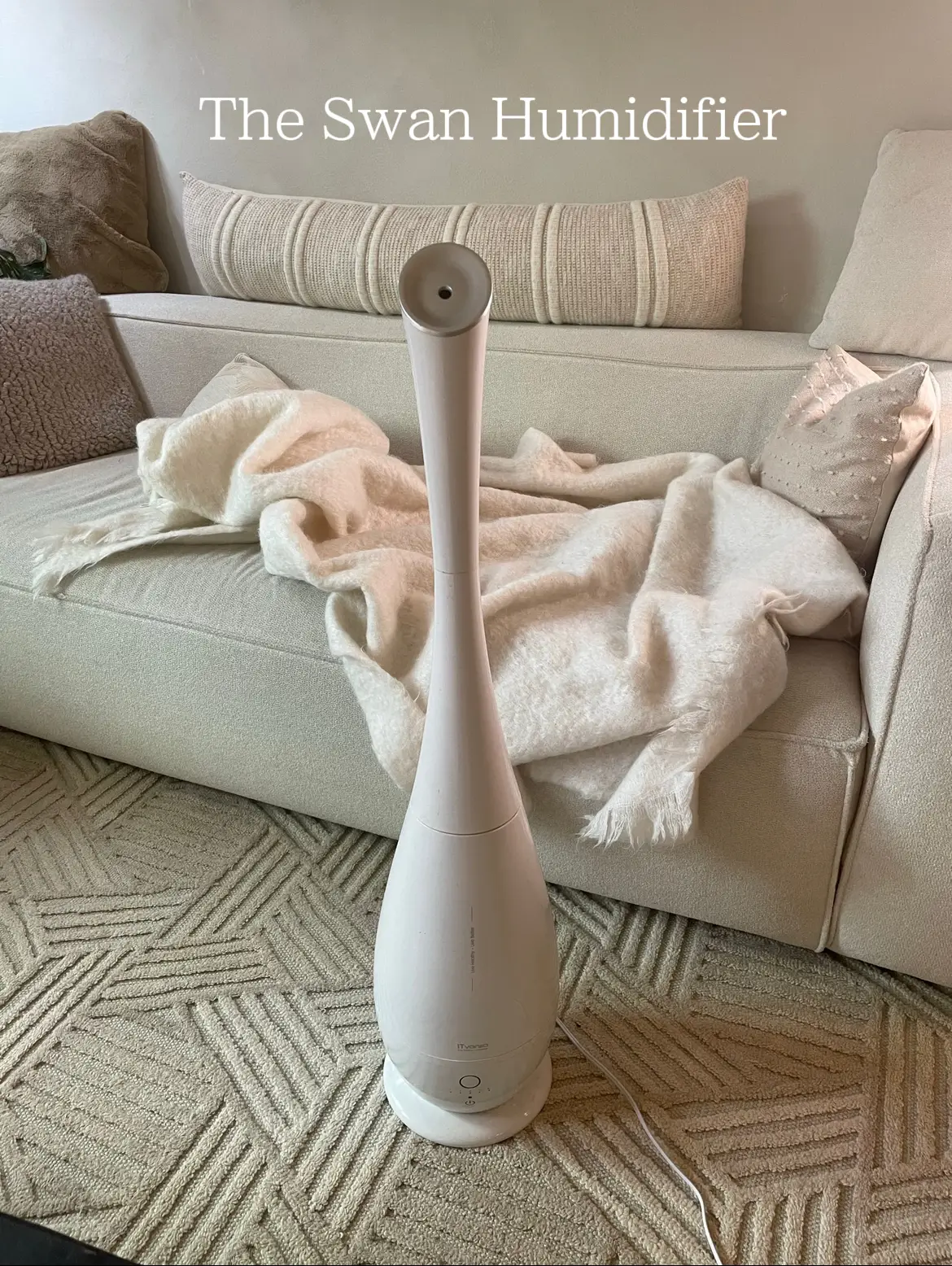 The Swan Humidifier | Gallery posted by Denisebrown | Lemon8