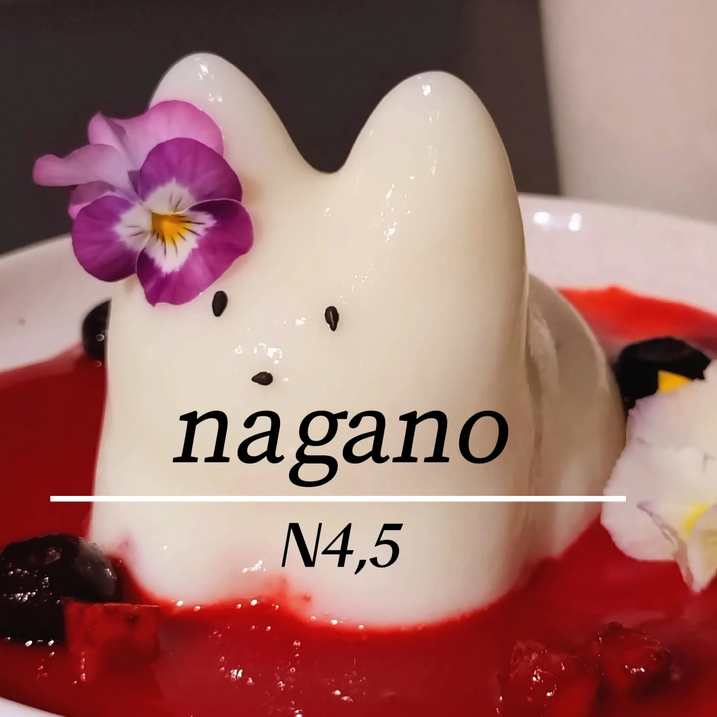 杏仁豆腐のシロちゃん🤍 | hitomiが投稿したフォトブック | Lemon8