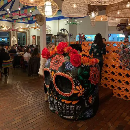 FUN RESTAURANT IDEA | Gallery posted by Amaris Colon | Lemon8