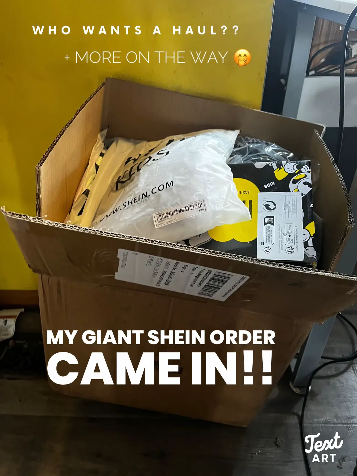 shein package haul? | Gallery posted by Kenzihouser | Lemon8