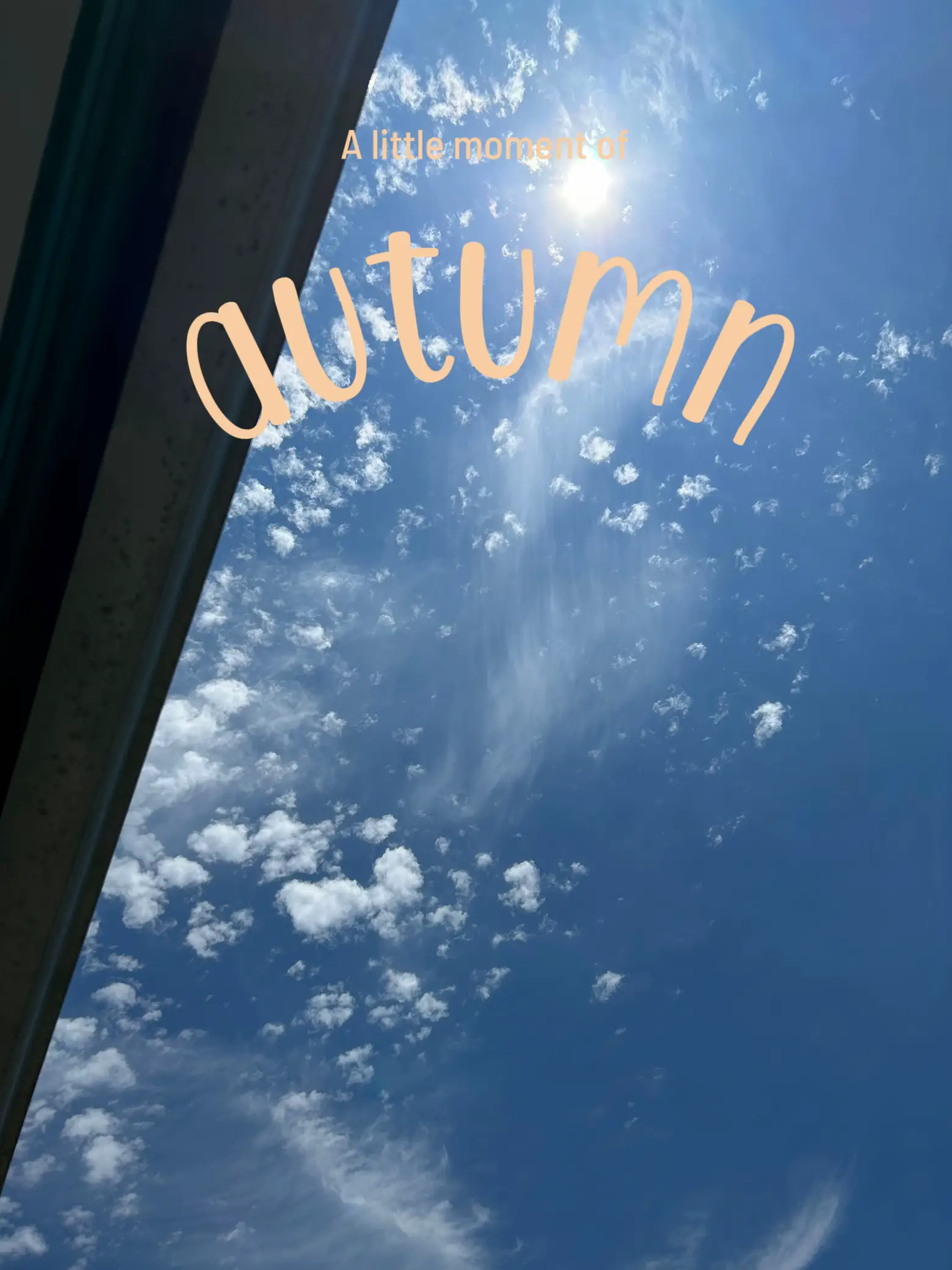 ฤดูใบไม้ร่วง | แกลเลอรีที่โพสต์โดย Arinomama | Lemon8