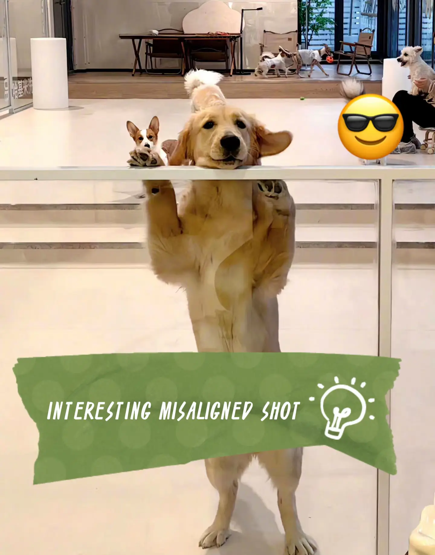 Interesting misaligned shot🤣🤣 | Galeri disiarkan oleh Lucky | Lemon8