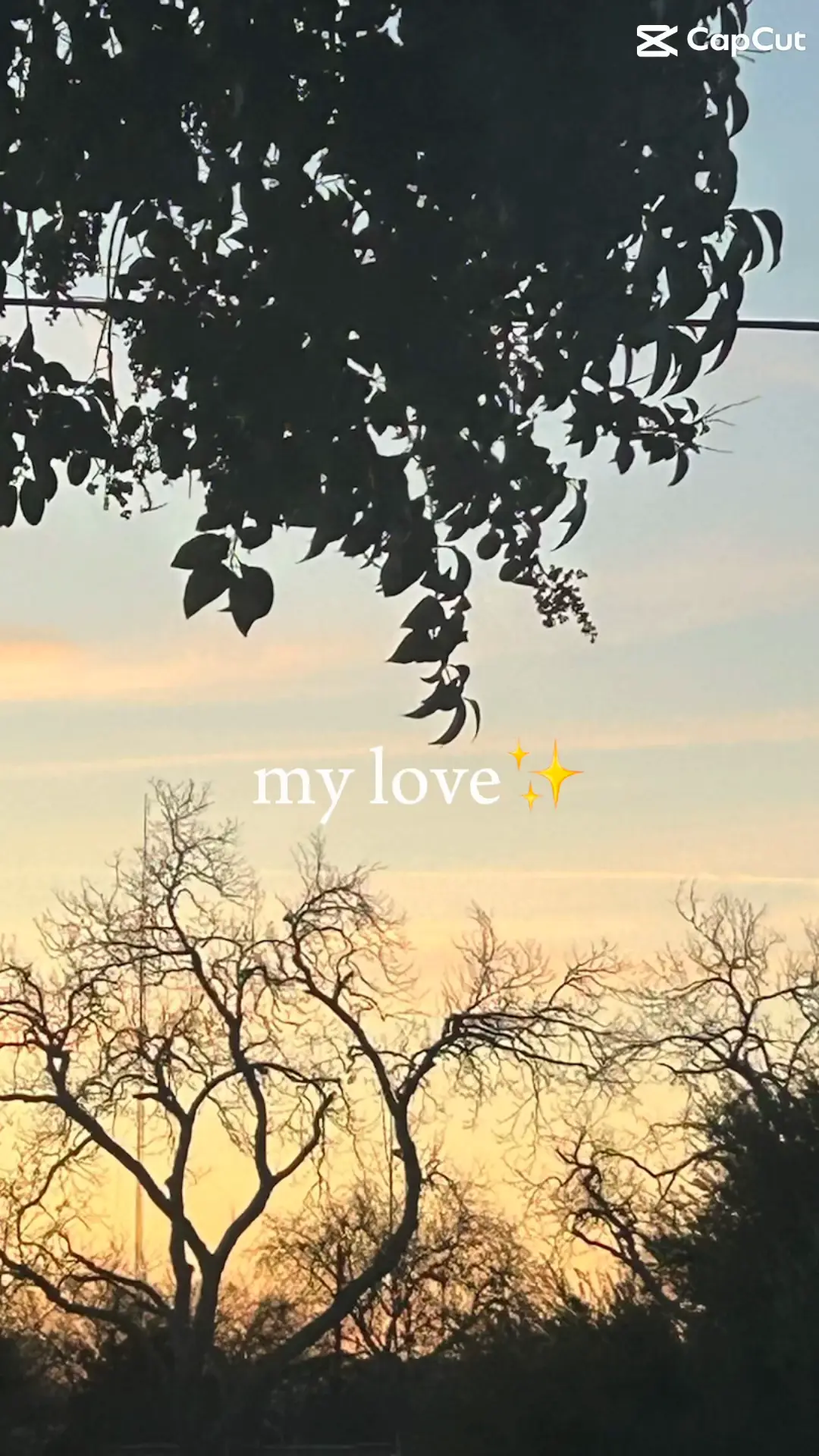 My one and only love 🫶 🍋 | Video published by Sun girl ☀️ | Lemon8