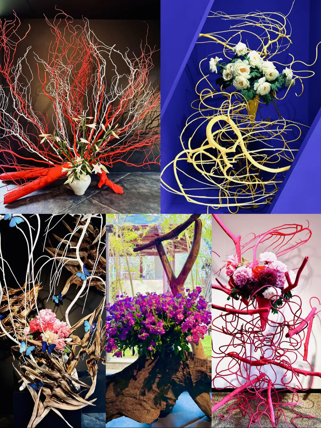 Shimane 】 Ginseng Daikon Island where you can enjoy peonies all year ...