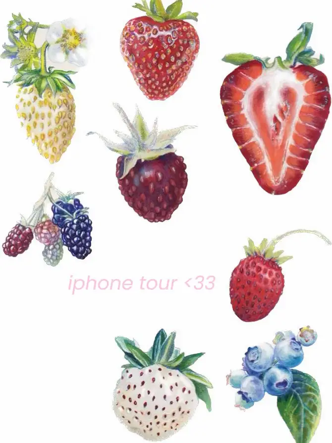 iphone tour