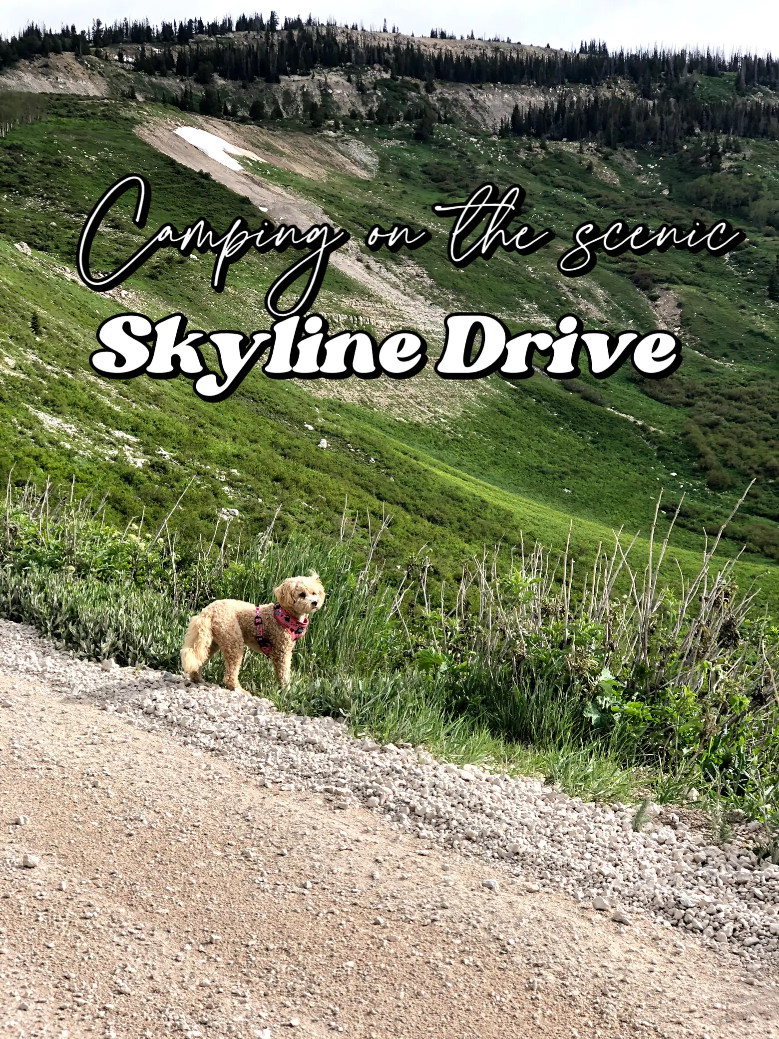 Why we love this drive in Utah 🫶 | Gallery posted by Honey Boo | Lemon8