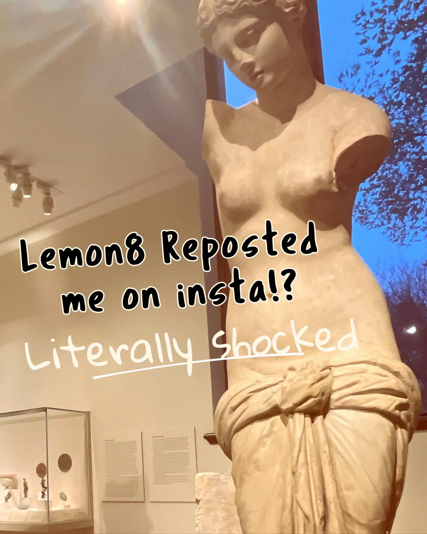 Literally shocked | Gallery posted by Abby’s Archieve | Lemon8