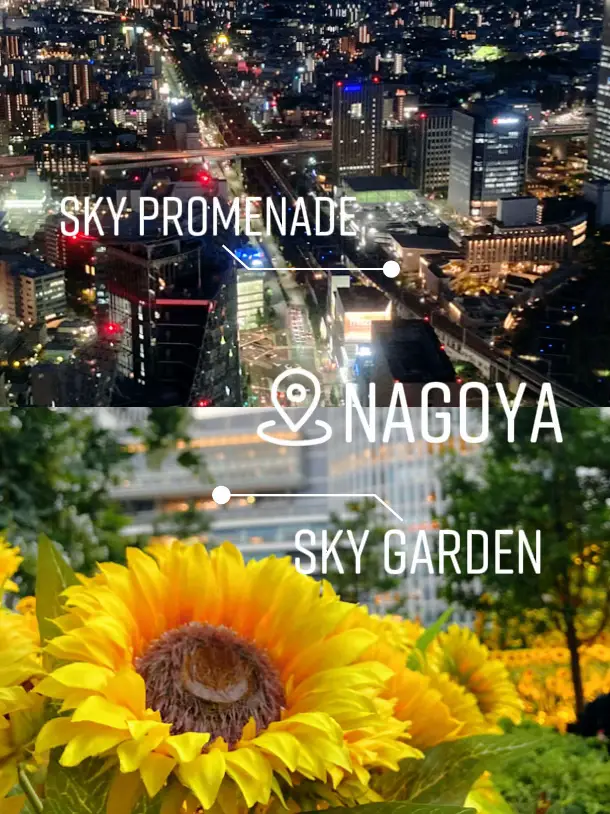 Nagoya / Nakamura-ku 】 SKY PROMENADE / Himawari Sky Garden | Gallery posted by TOMO | Lemon8