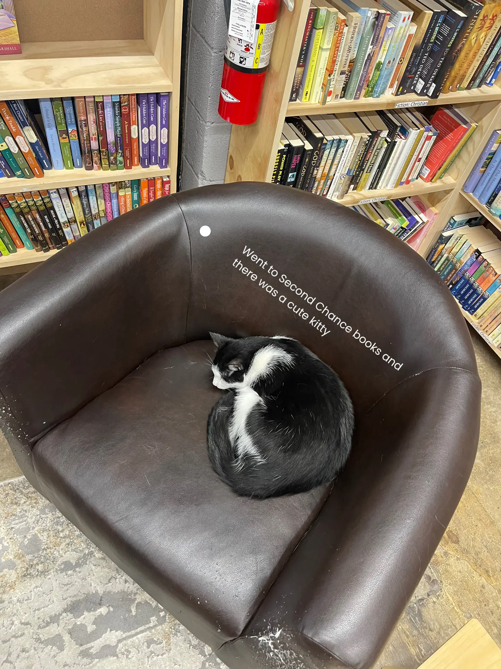 Things I did today | Gallery posted by Loralynne | Lemon8