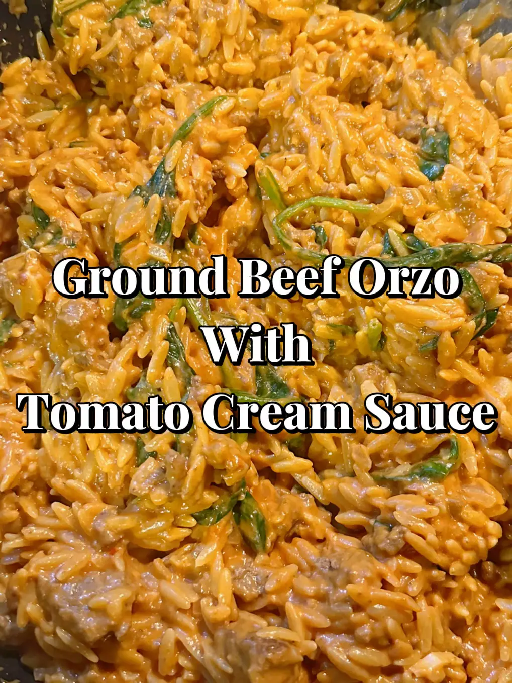 Ground Beef Orzo With Tomato Cream Sauce | Gallery posted by Olivia ...
