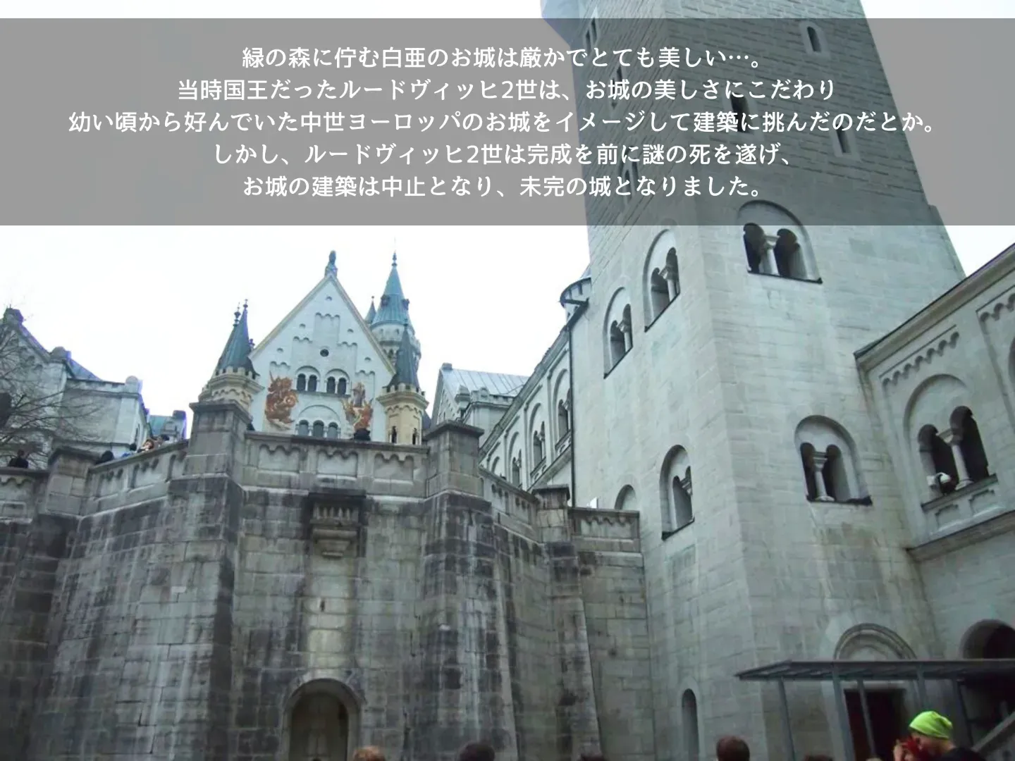 Model of Cinderella Castle Neuschwanstein Castle | Gallery posted by Yuu | Lemon8