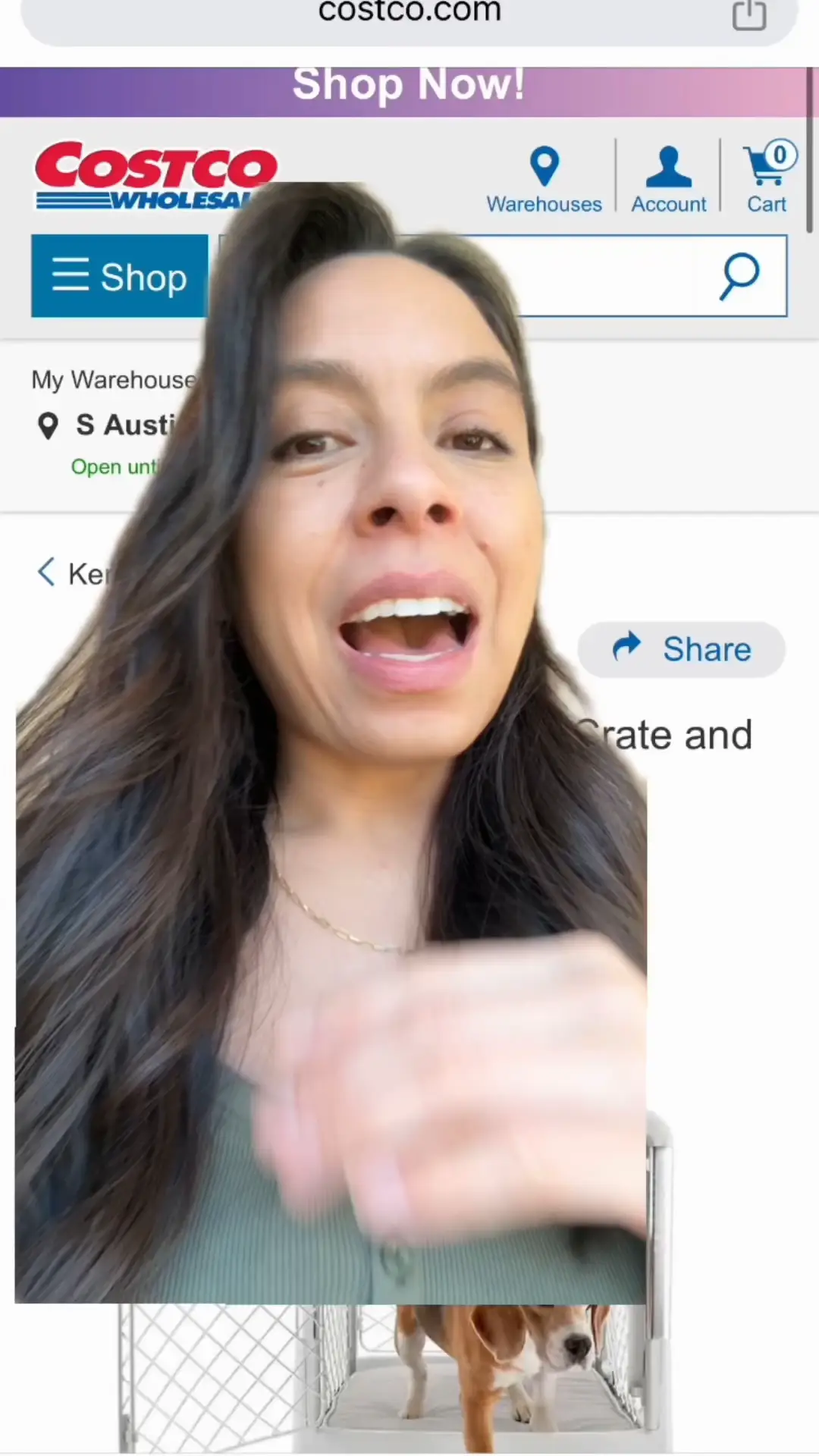 | Video published by Rachel Fusaro🐶 | Lemon8