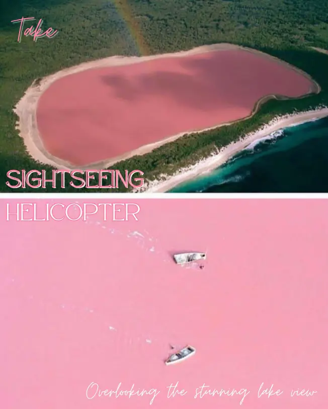 🎀 Barbie’s Pink Dream: 5 Stunning Global Gems! 💖 | Gallery posted by ...