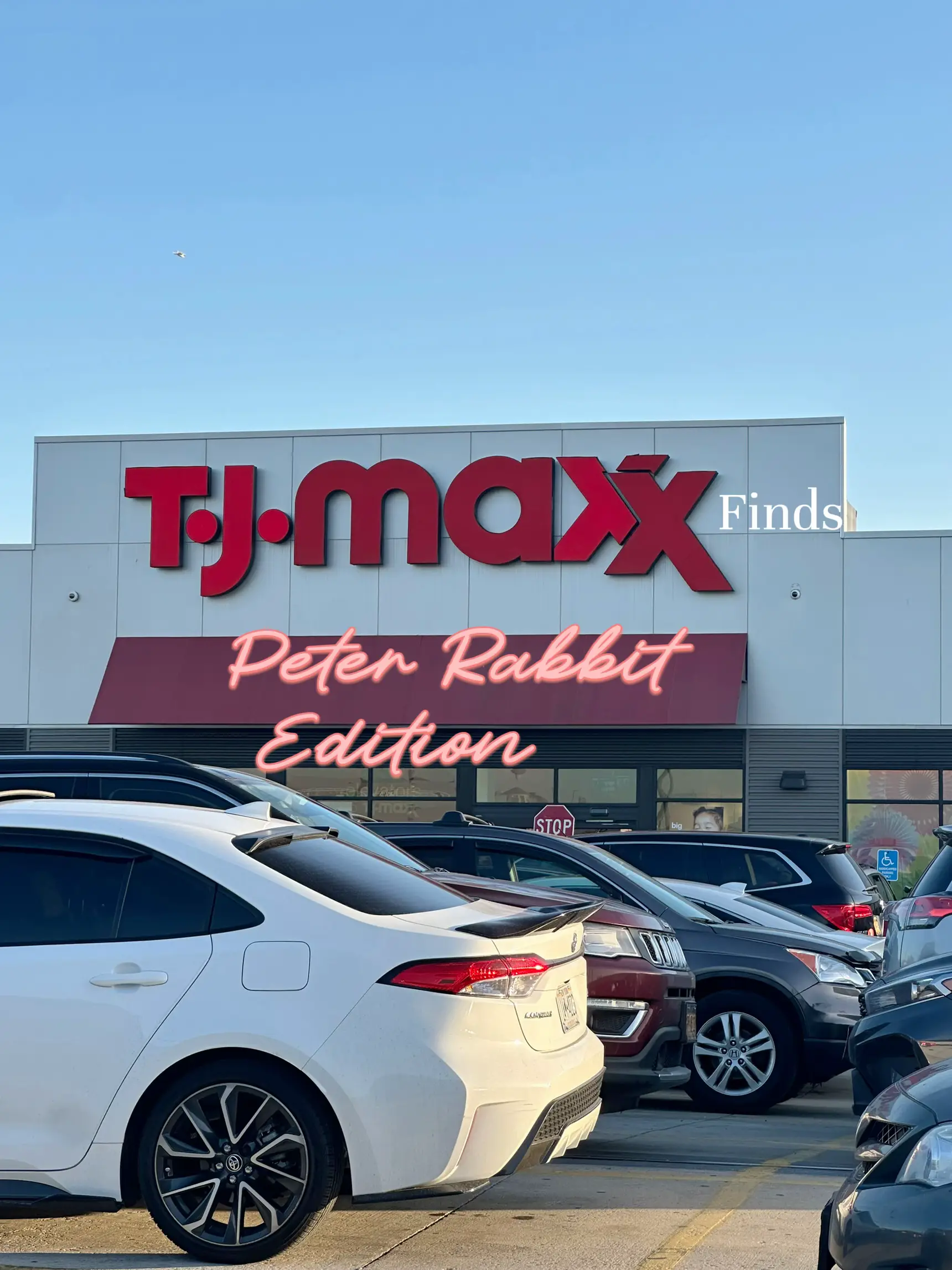 TJ MAXX FINDS - Peter Rabbit Edition 🐰 | Gallery posted by Alisha Whyte ...
